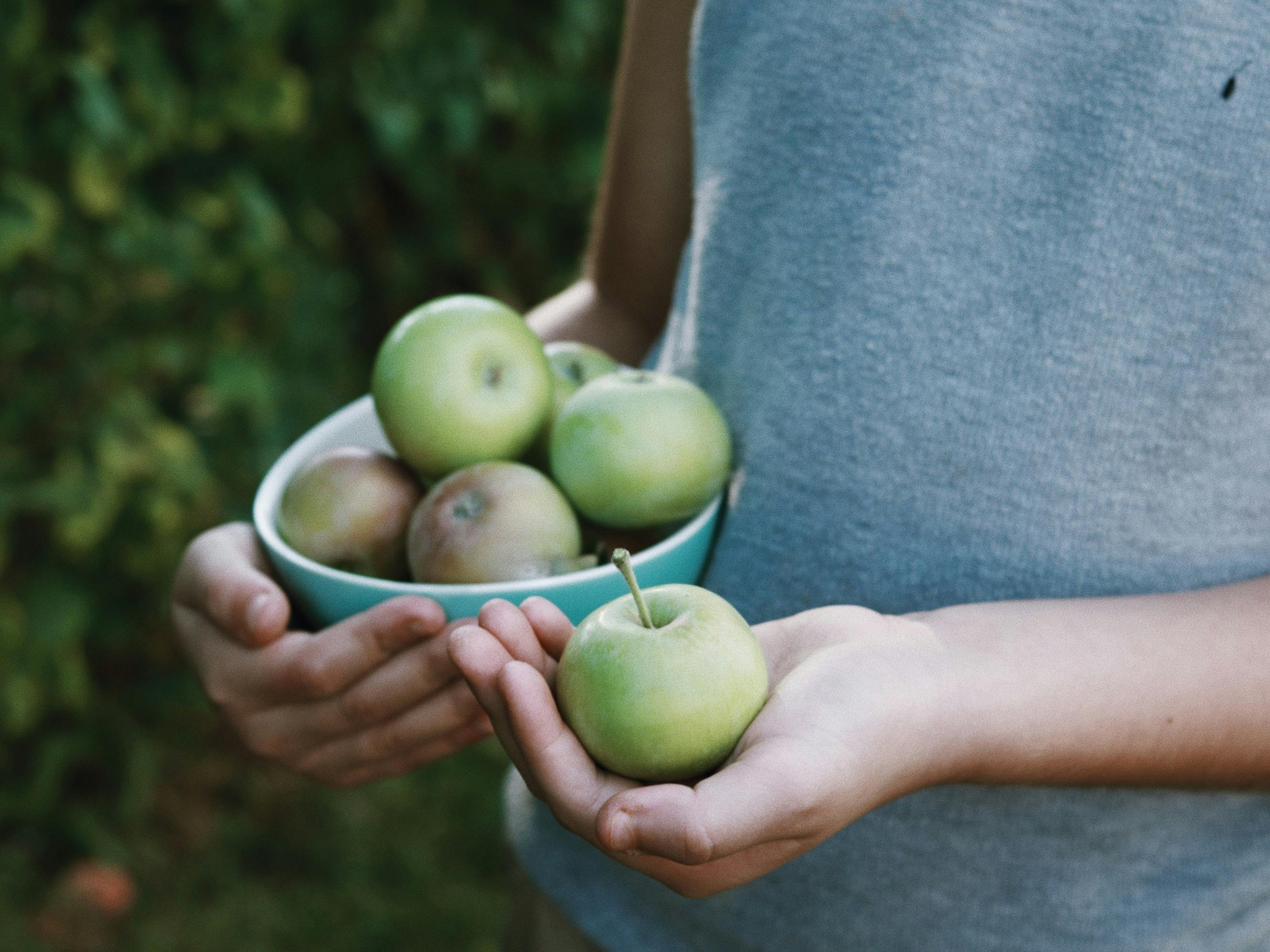 A Person Holding a Bowl with Apples Outside · Free Stock Photo