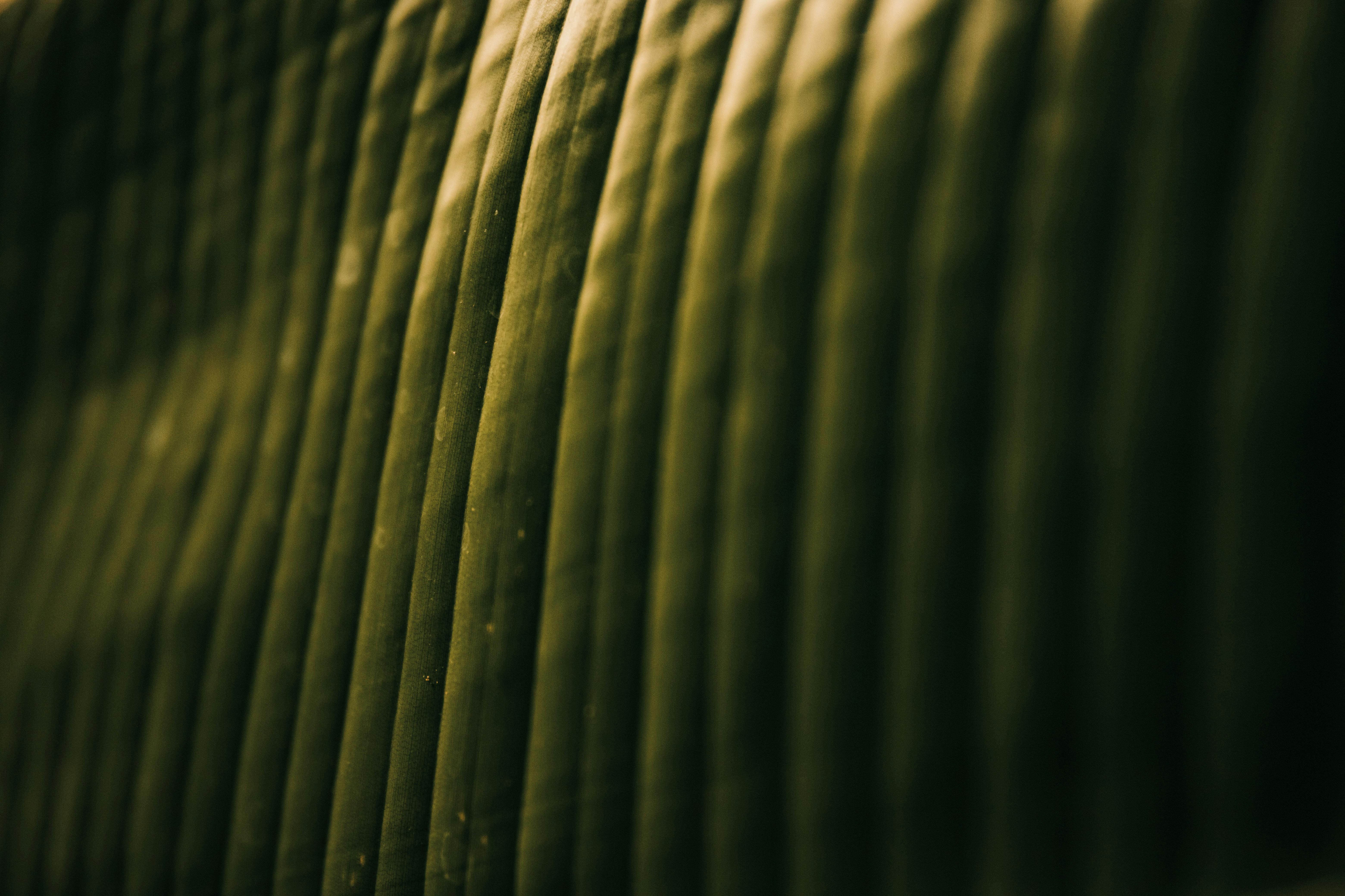 Close up of Leaves Surface · Free Stock Photo