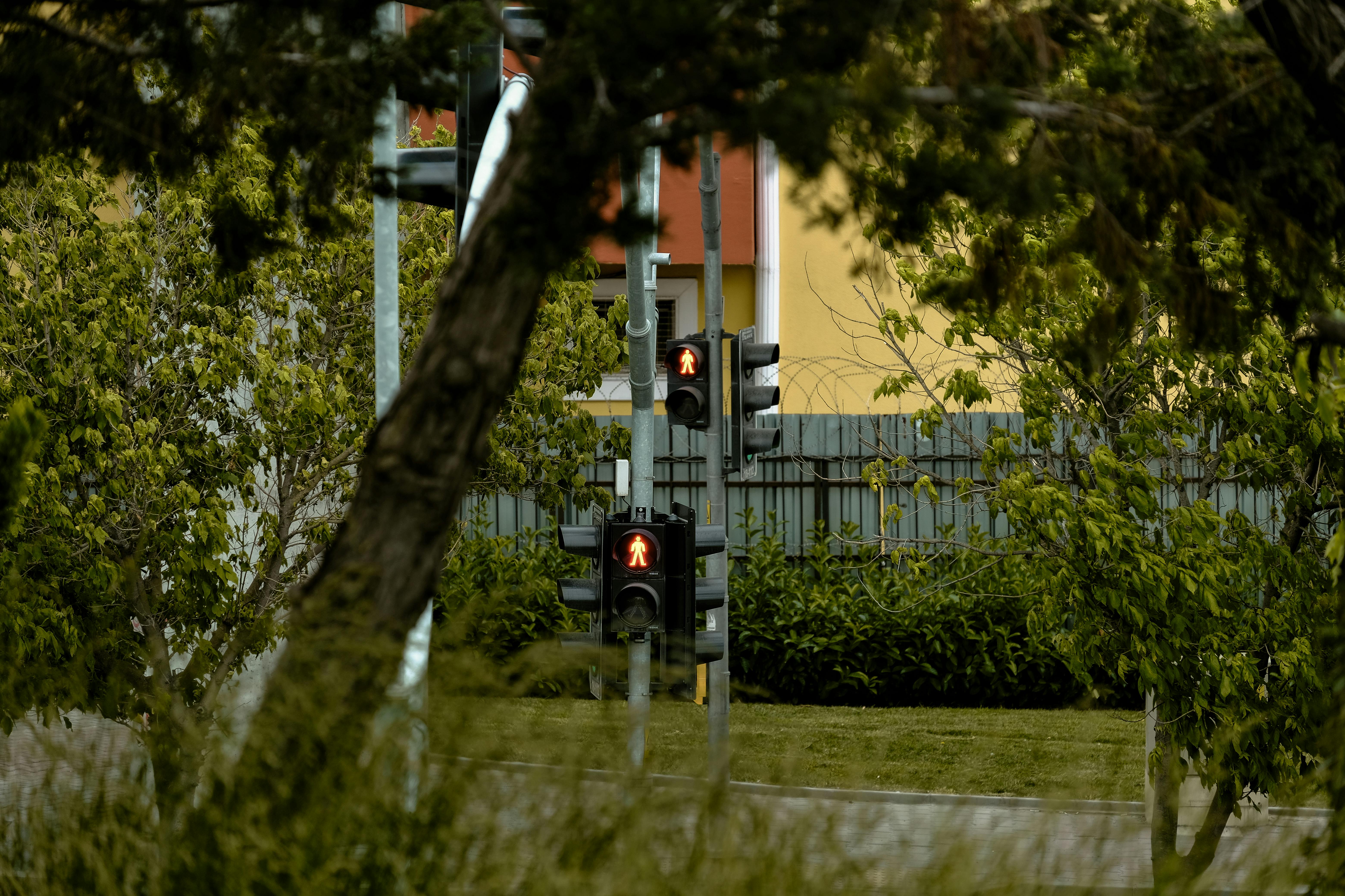 Red Solid Traffic Signals In Traffic Areas Photos, Download The BEST ...