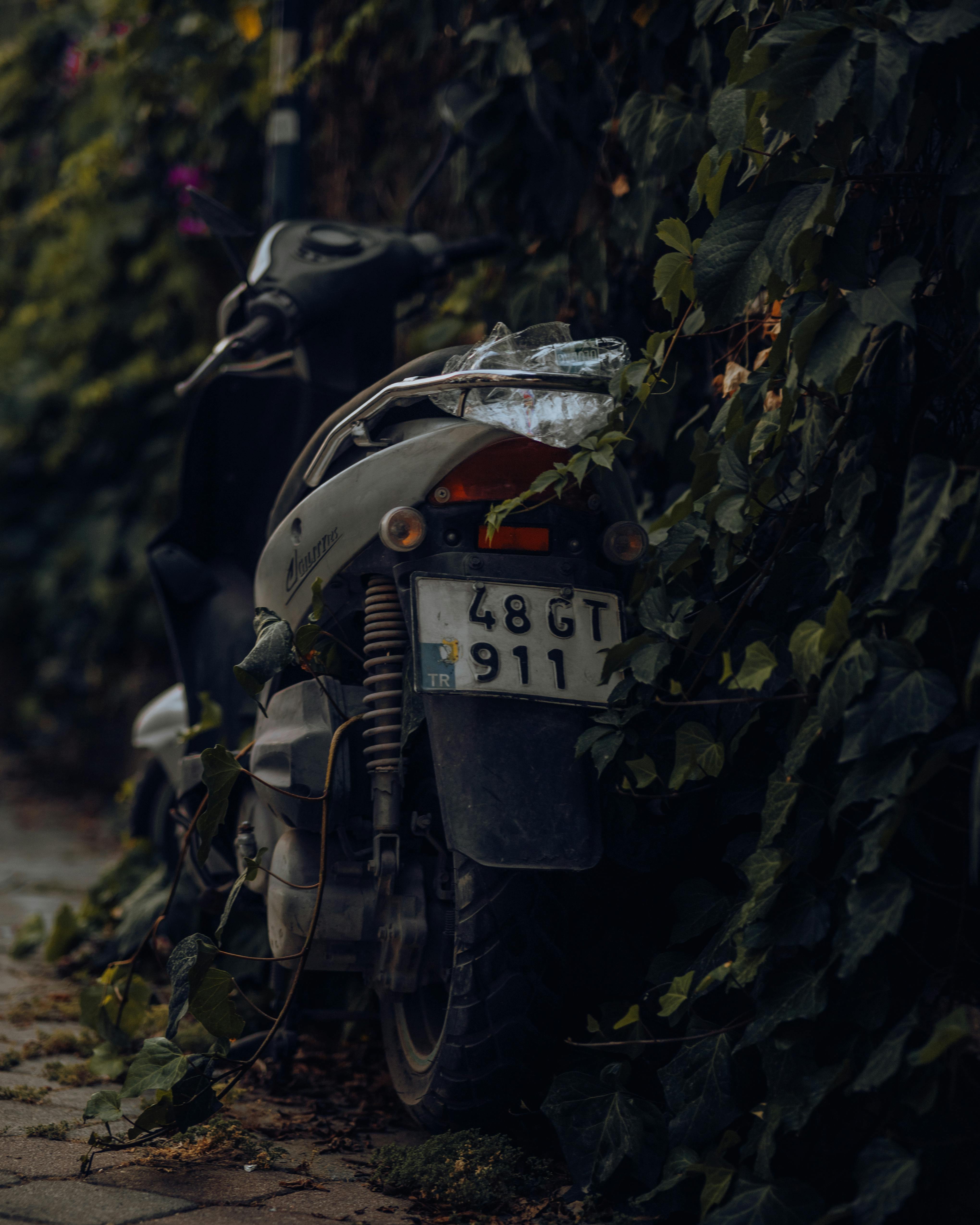 License Photos, Download The BEST Free License Stock Photos & HD Images