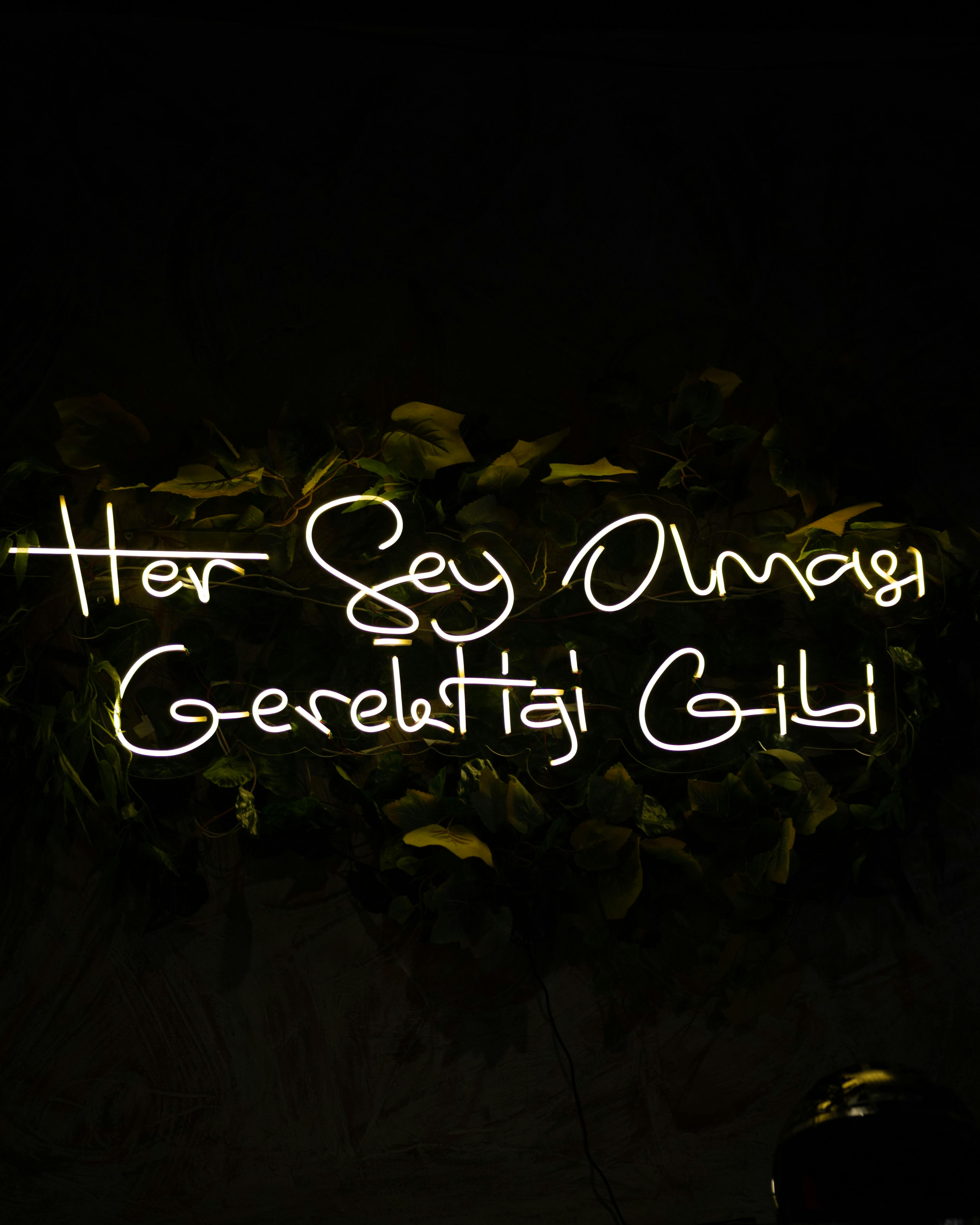 Pink Peace Light Sign · Free Stock Photo