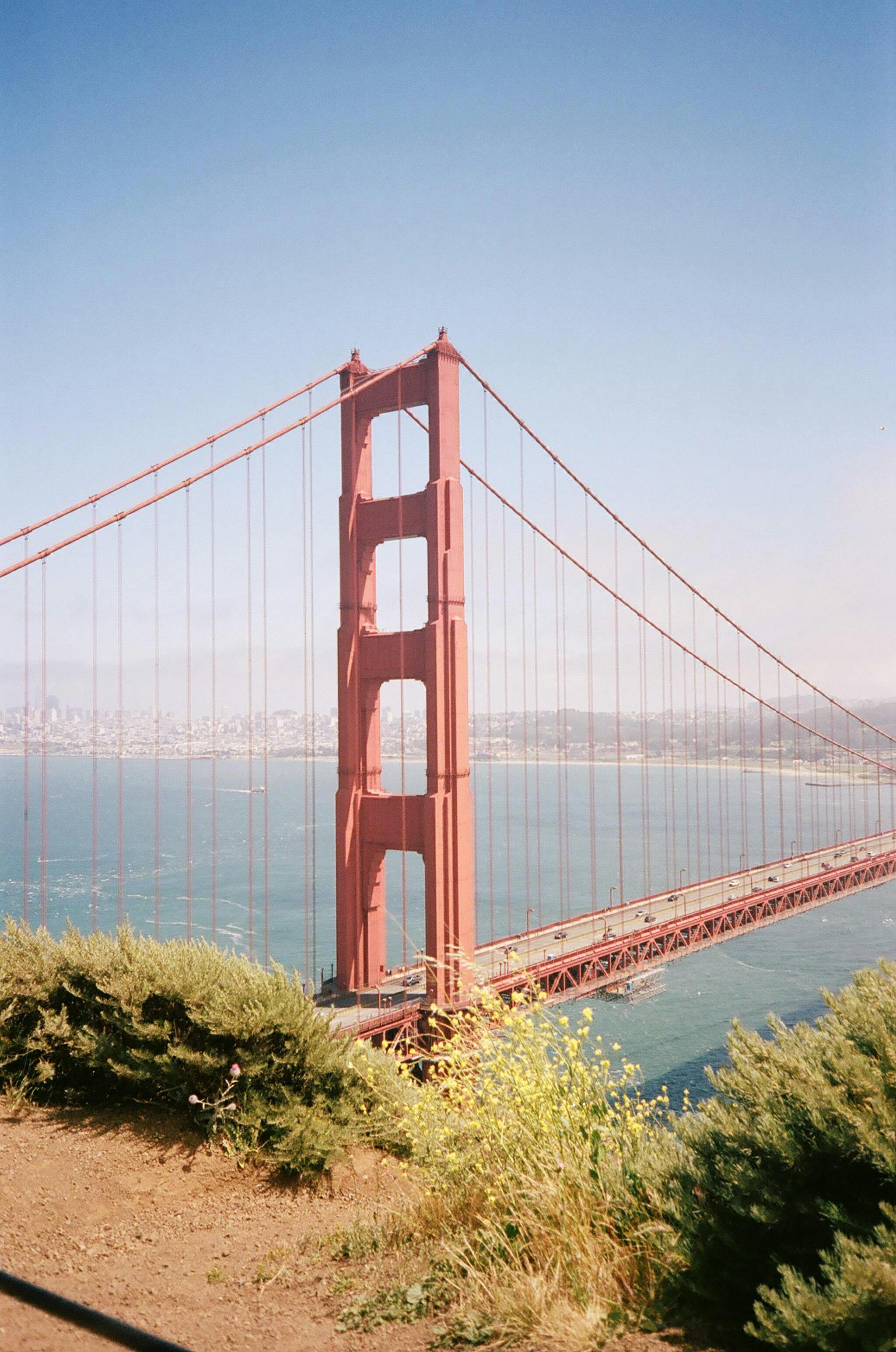 Golden Gate Film · Free Stock Photo