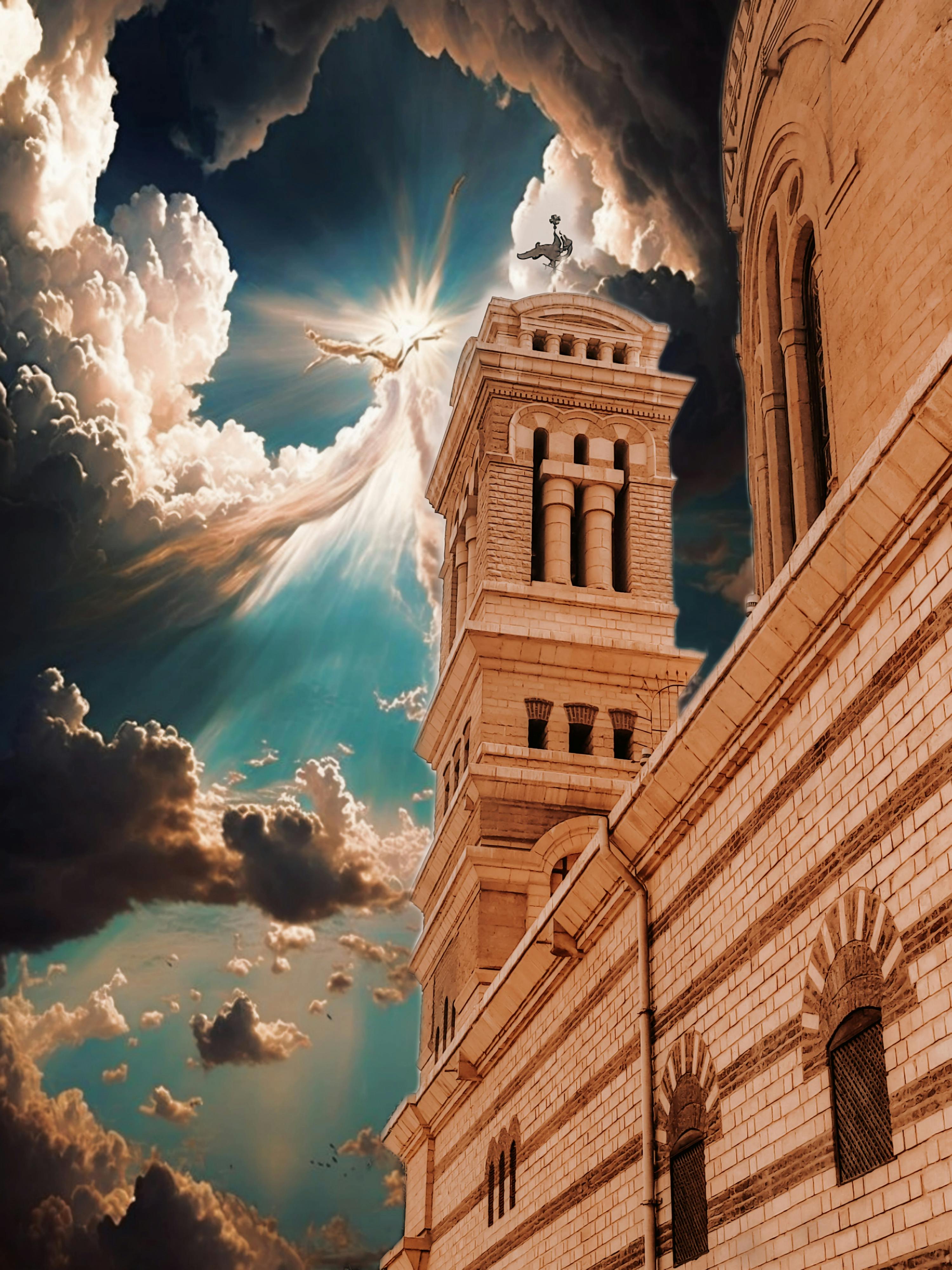 Asma Gamal - Photography