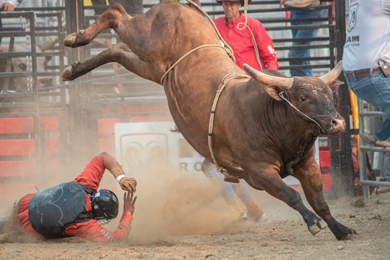 Rodeo Photos, Download The BEST Free Rodeo Stock Photos & HD Images