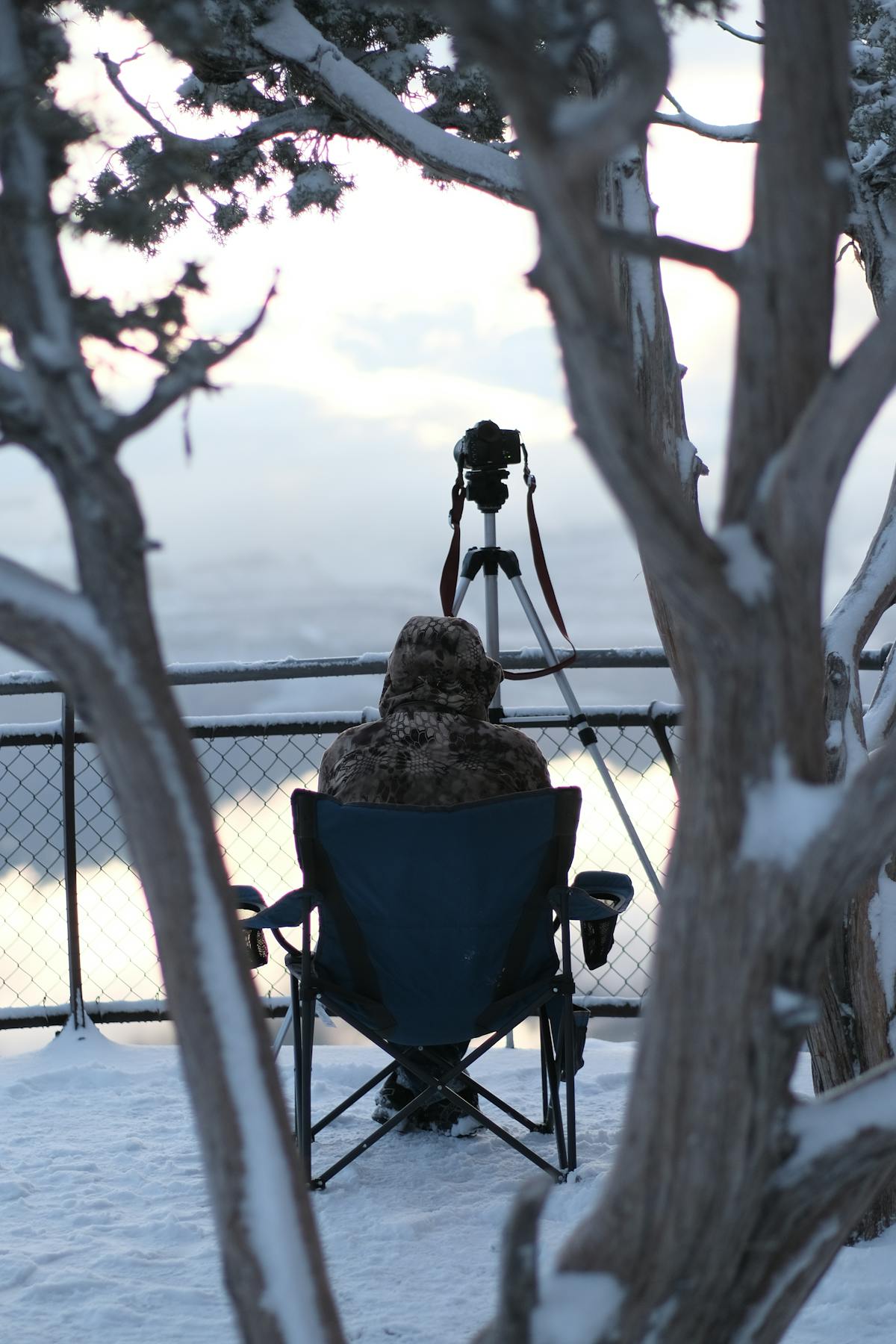 Cameraman Back Photos, Download The BEST Free Cameraman Back Stock ...