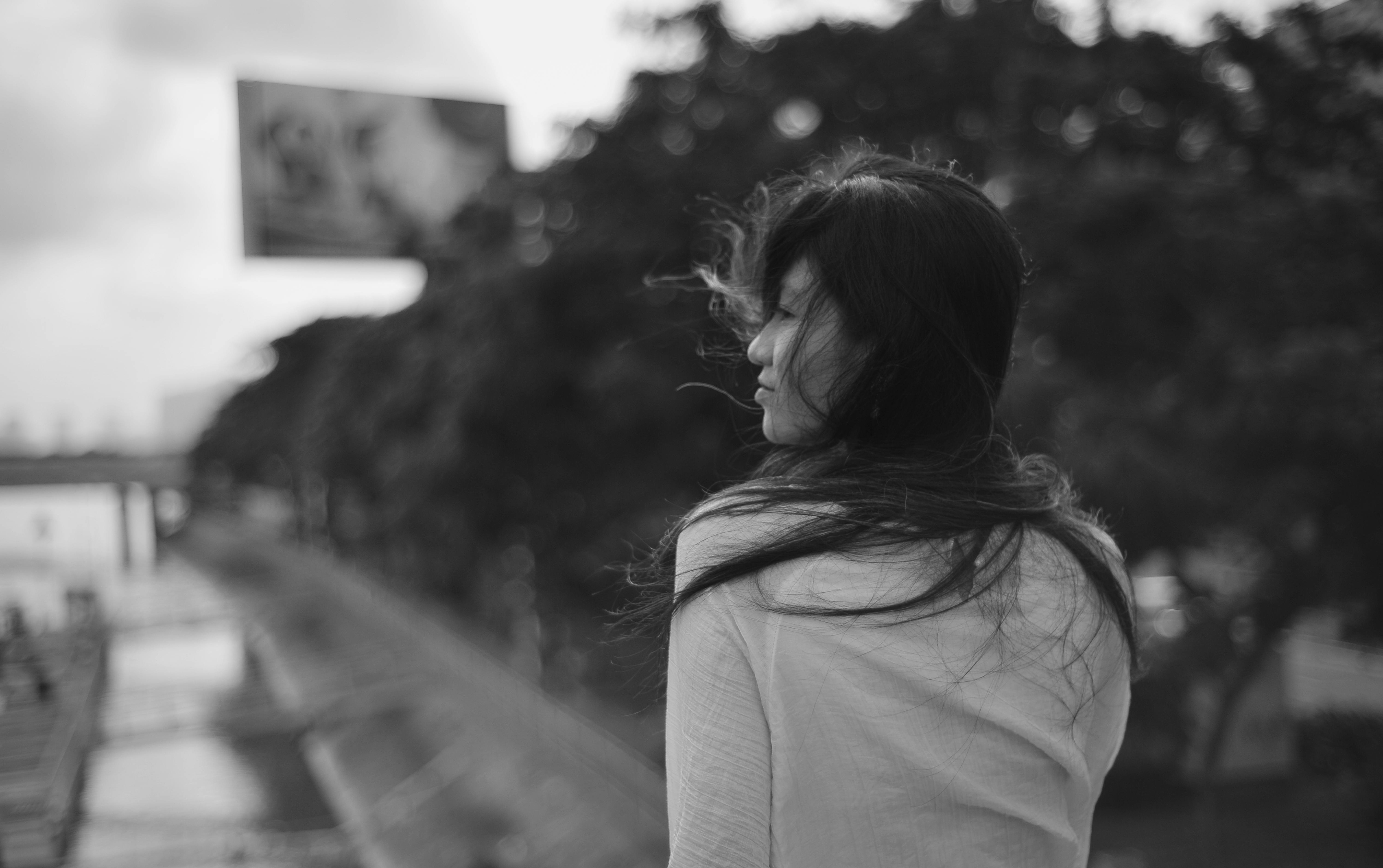 Catch The Wind Photos, Download The BEST Free Catch The Wind Stock ...