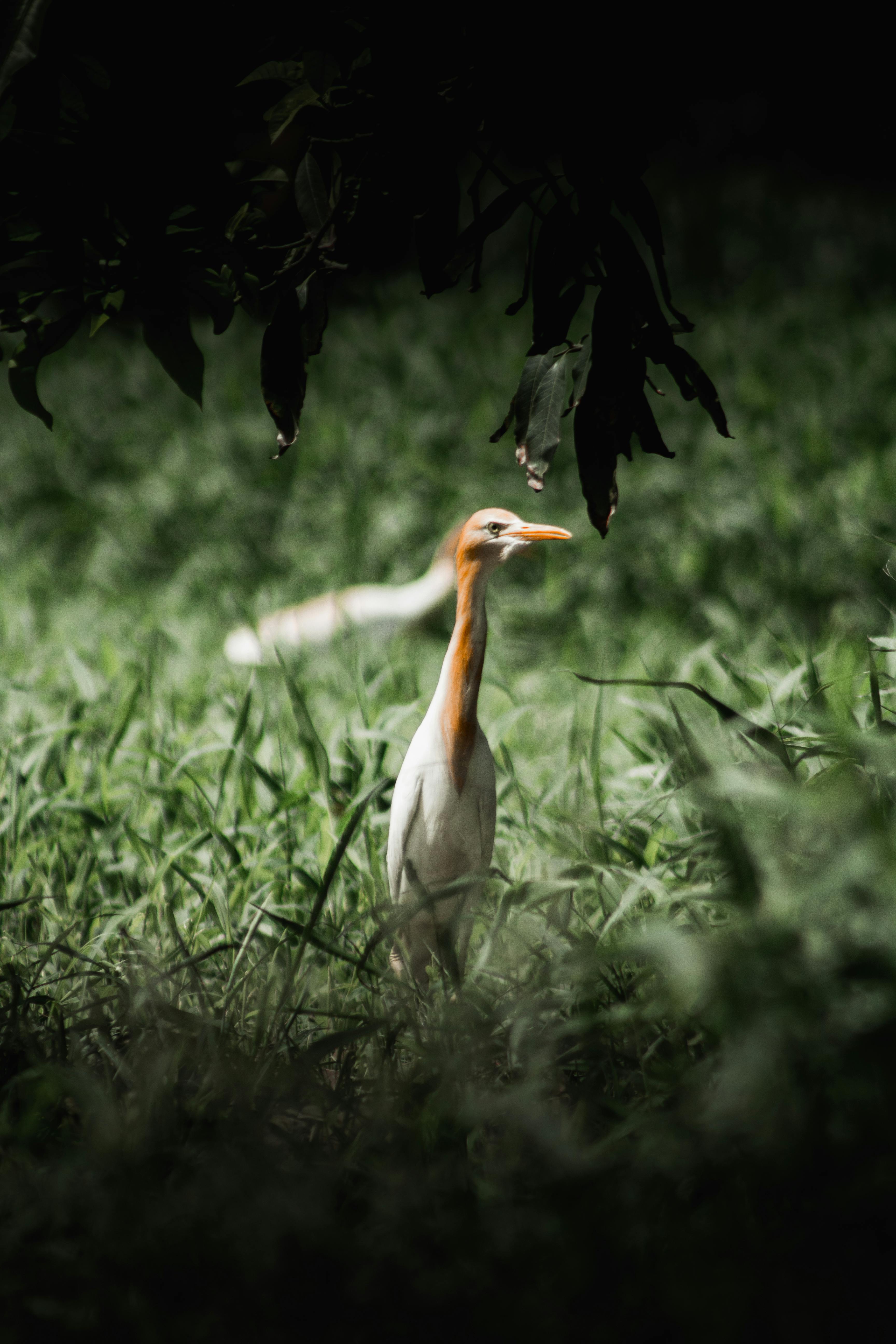 Asthetic Photos, Download The BEST Free Asthetic Stock Photos & HD Images