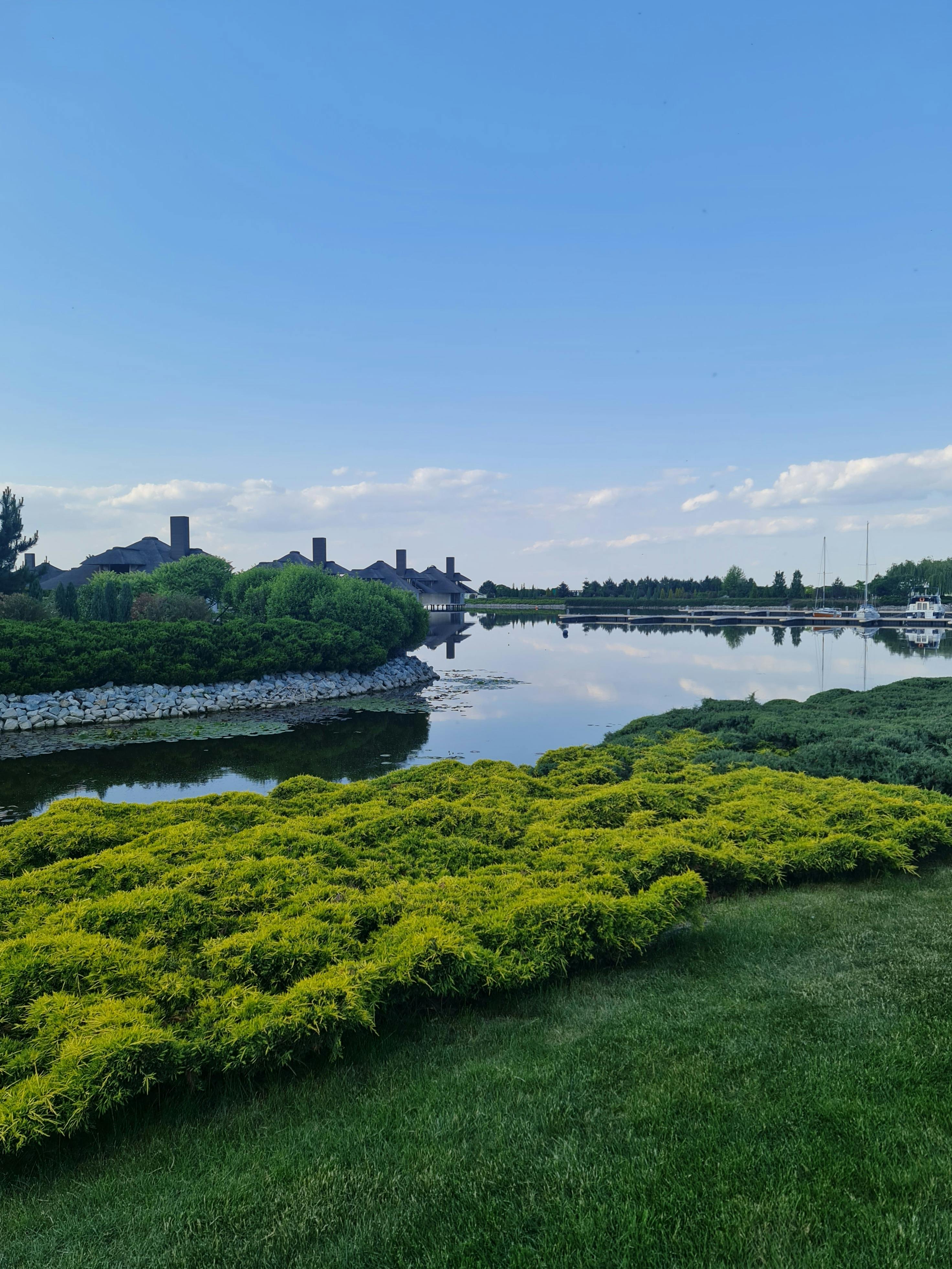 Spindly Growth Photos, Download The BEST Free Spindly Growth Stock ...