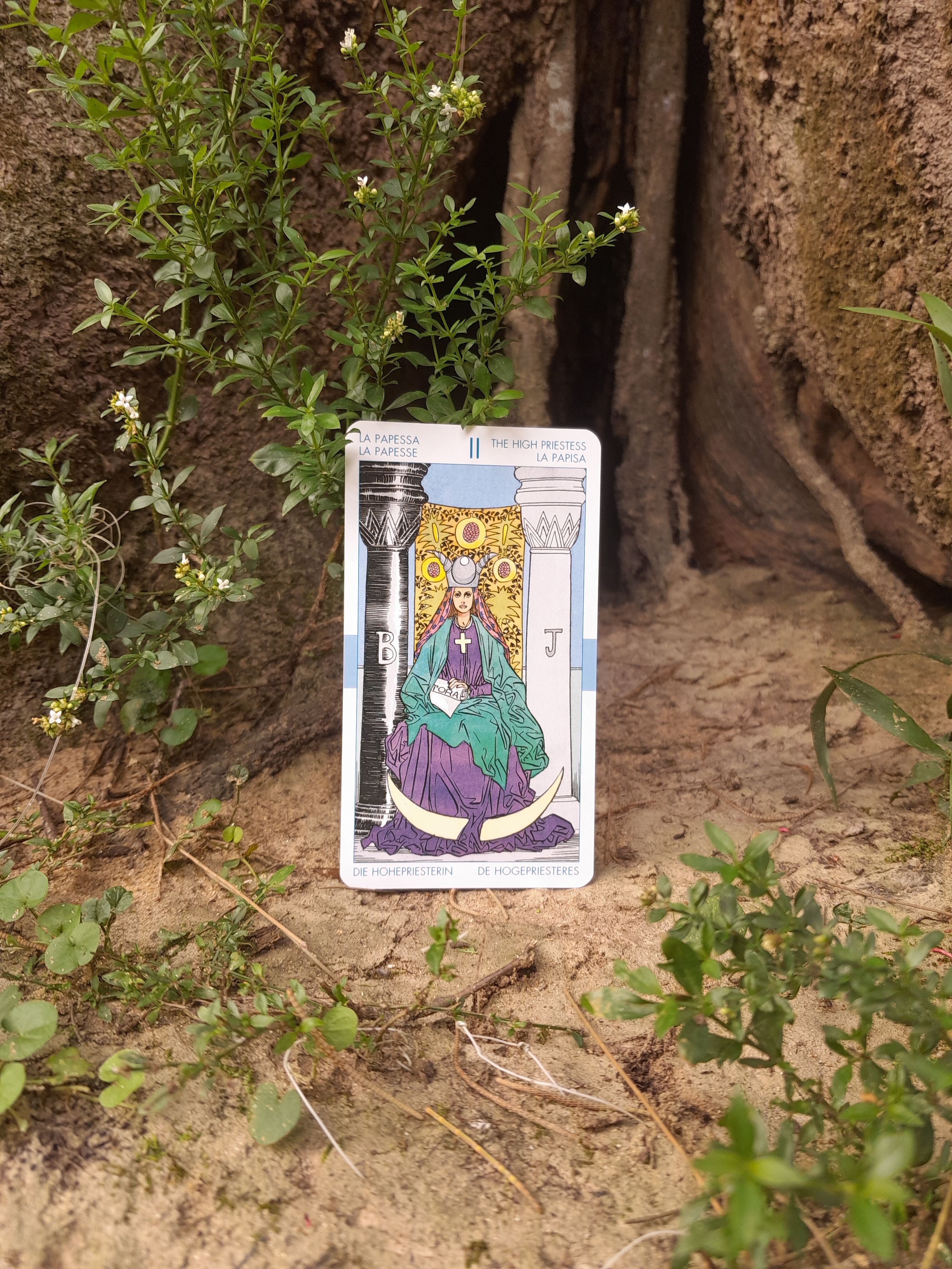 High Priestess Tarot Photos, Download The BEST Free High Priestess ...