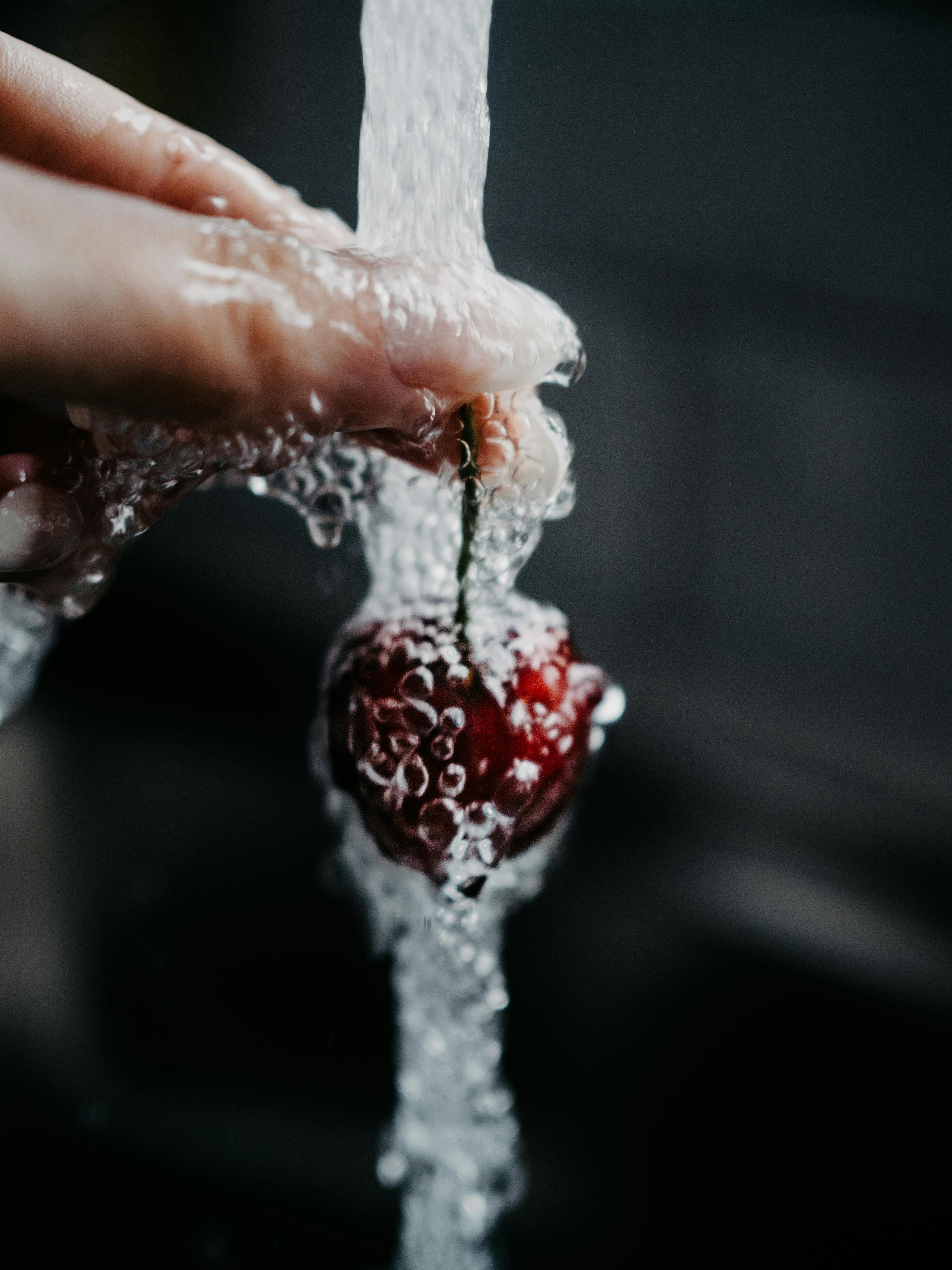 Cleaning Foods Photos, Download The BEST Free Cleaning Foods Stock ...