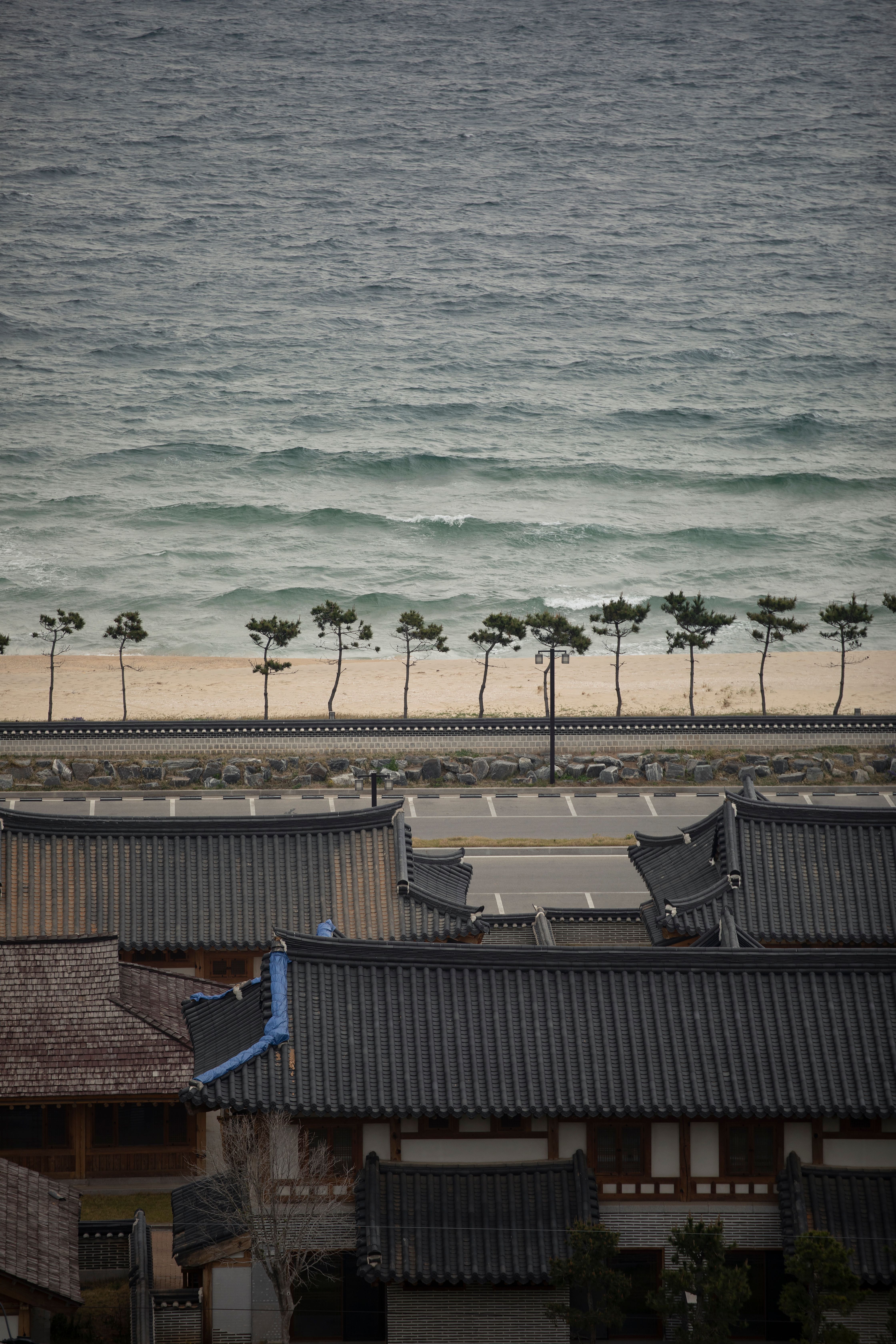 Roofs of Buildings near Beach · Free Stock Photo