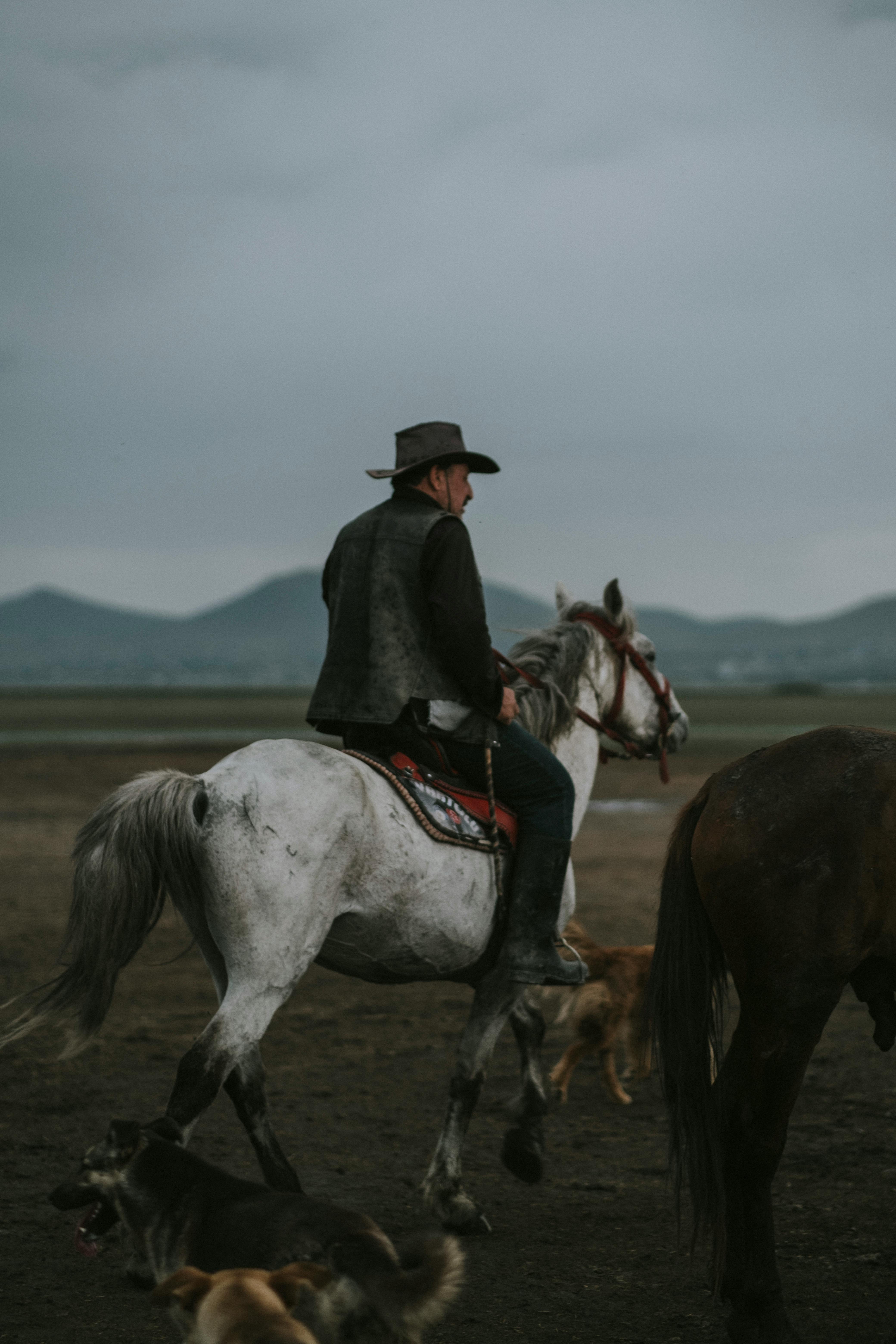 Man in Hat Riding Horse · Free Stock Photo