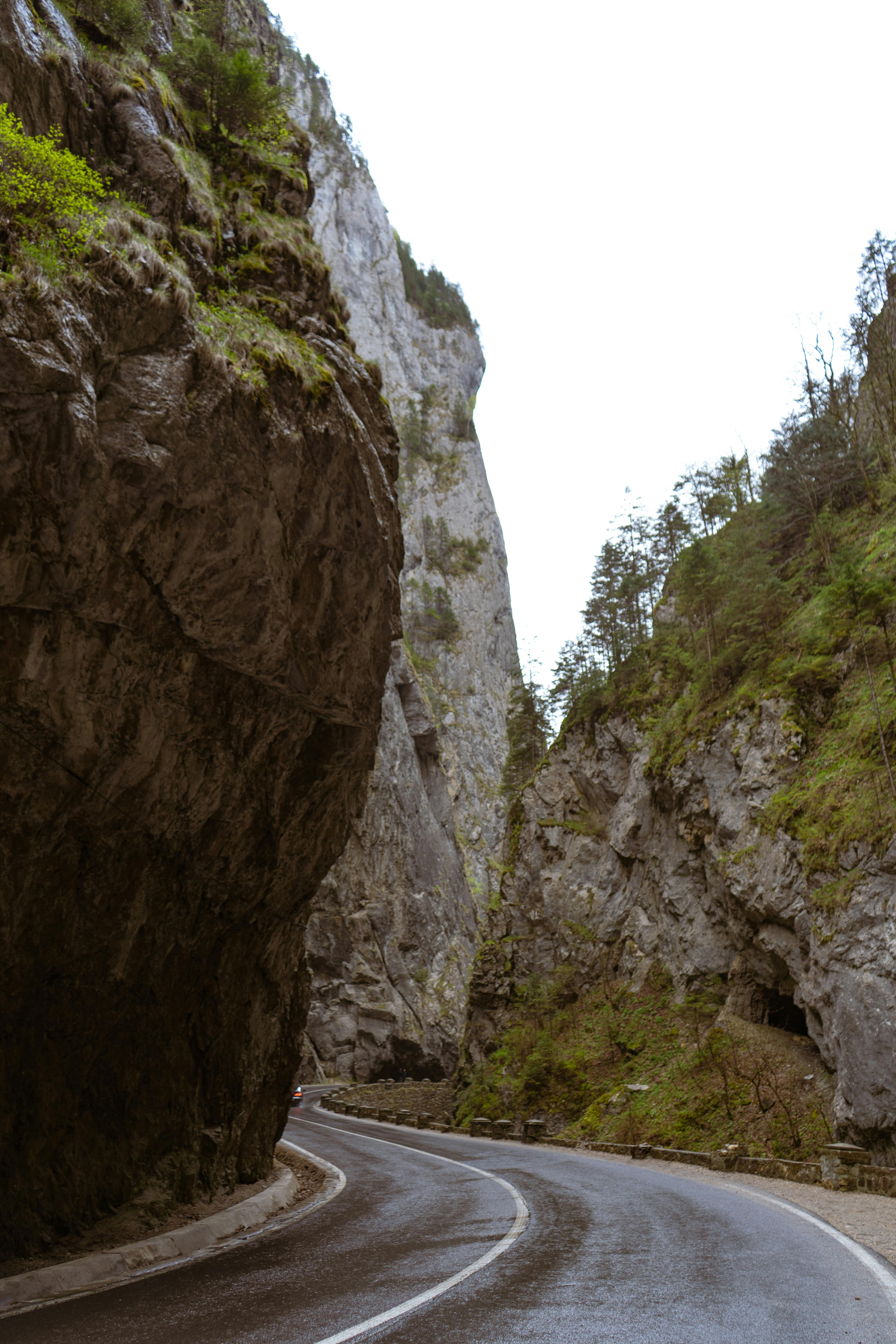 Road Leading through Rock Formations Covered in Foliage · Free Stock Photo