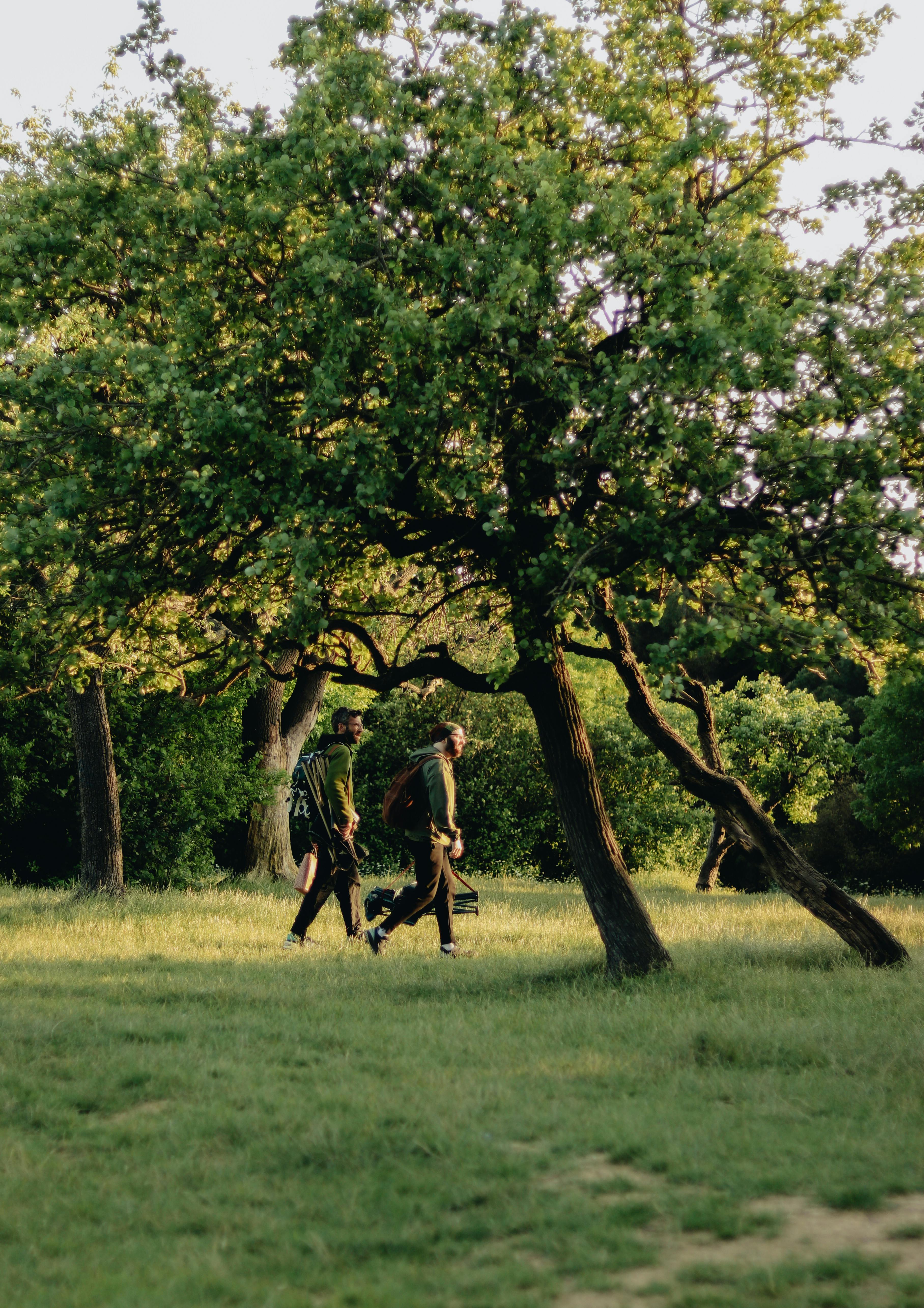 Two Men Walking Between Trees · Free Stock Photo