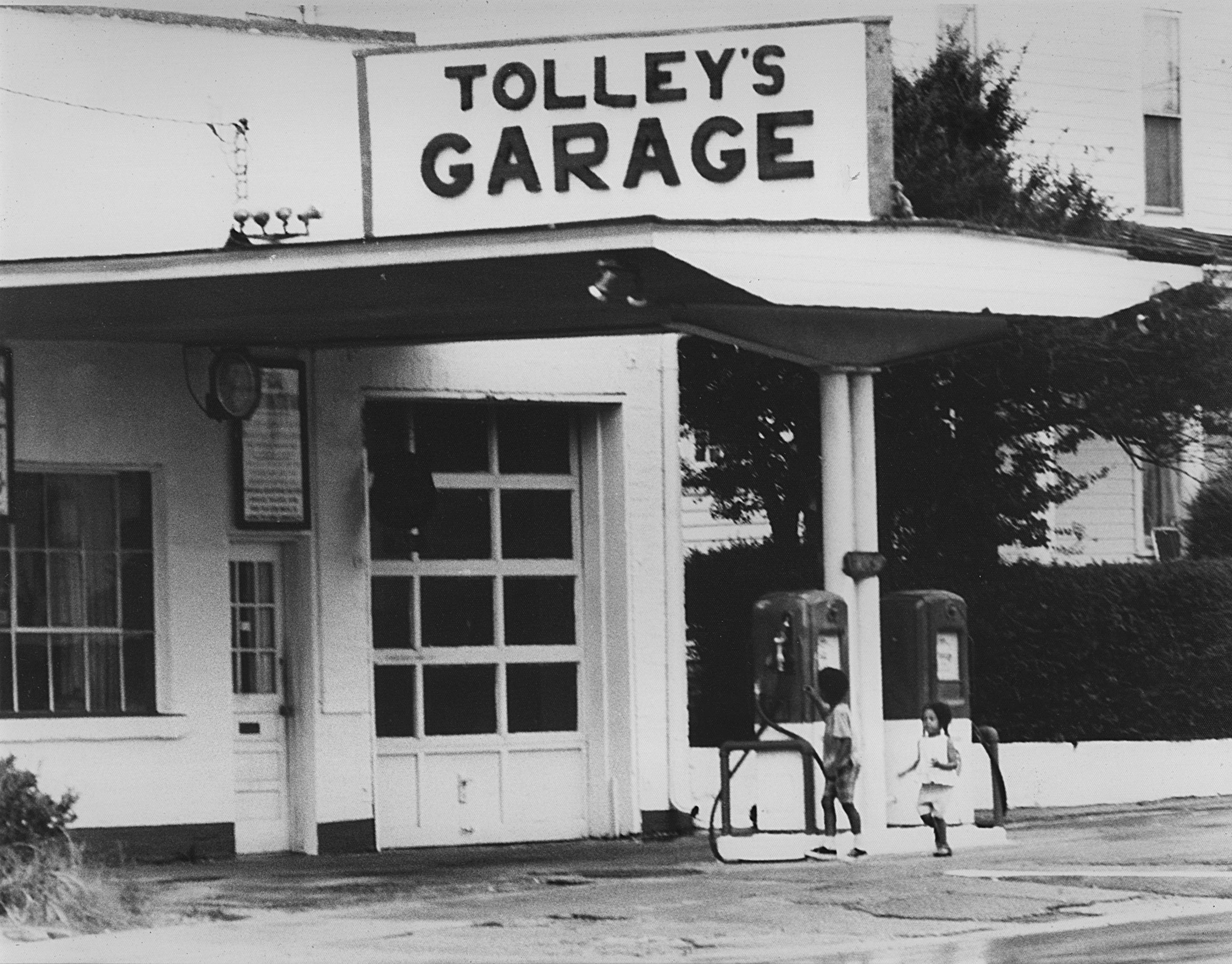 Lynn Nash - Photography