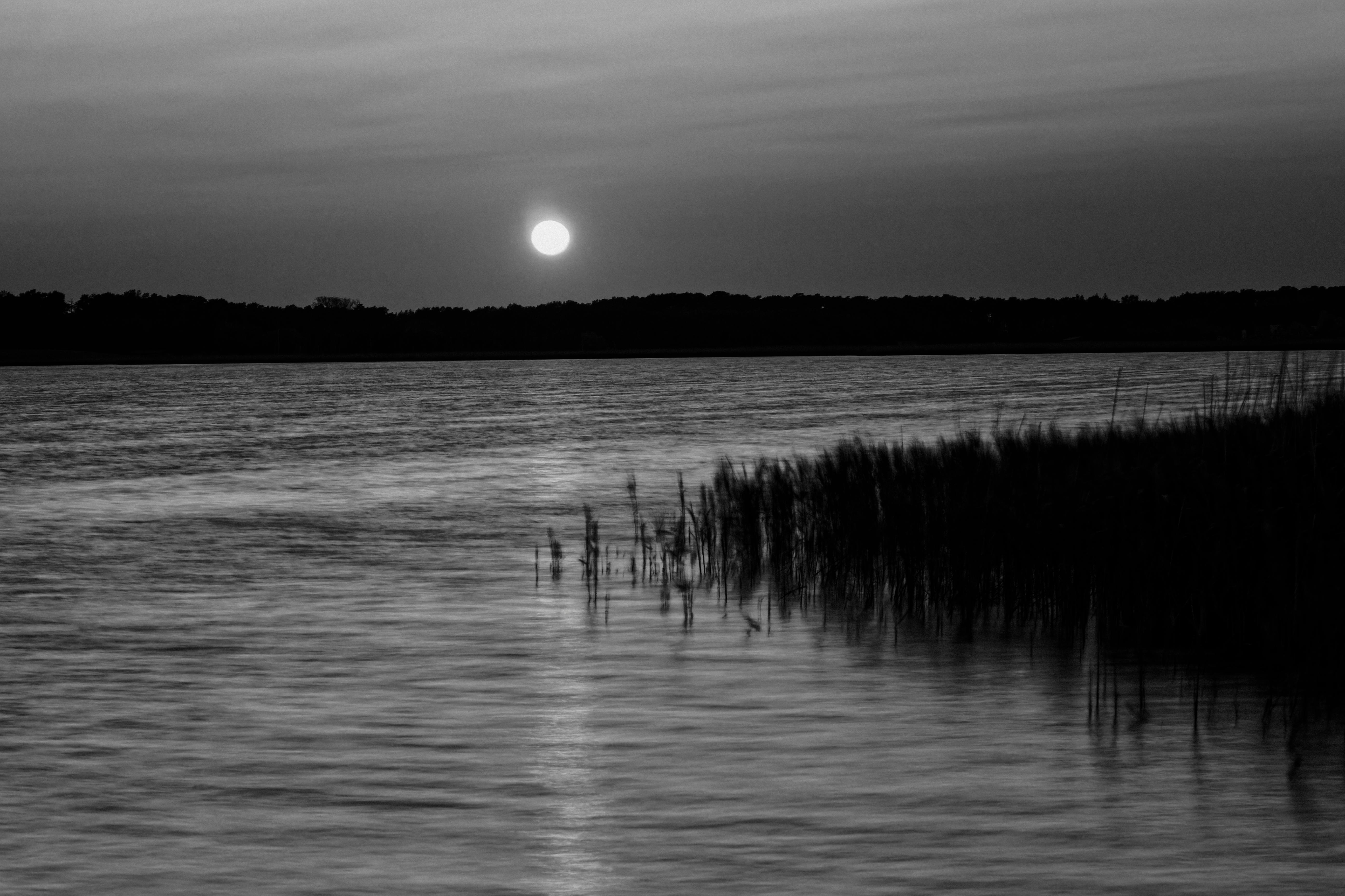 Sun Fang Photos, Download The BEST Free Sun Fang Stock Photos & HD Images