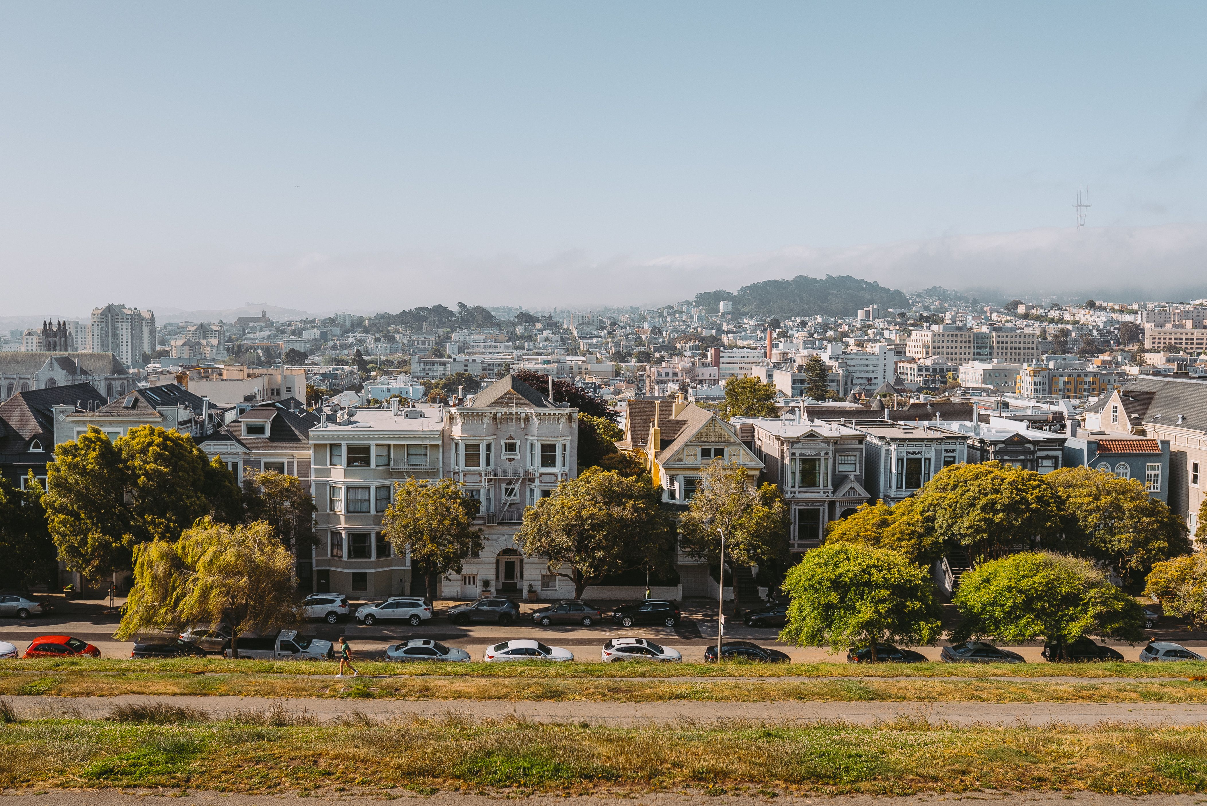 Buildings in Town behind Trees · Free Stock Photo