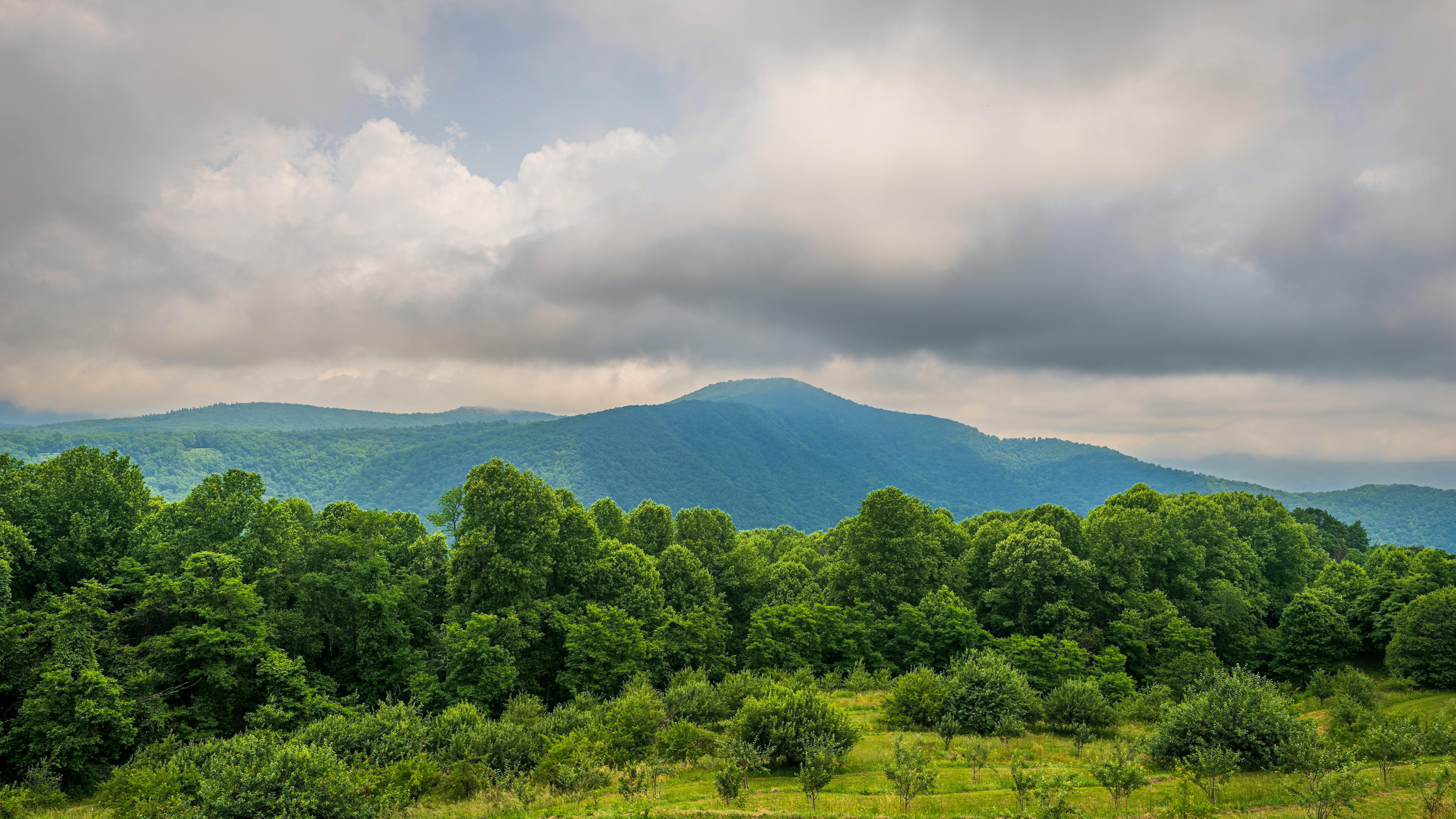Overcast over Hills and Trees · Free Stock Photo