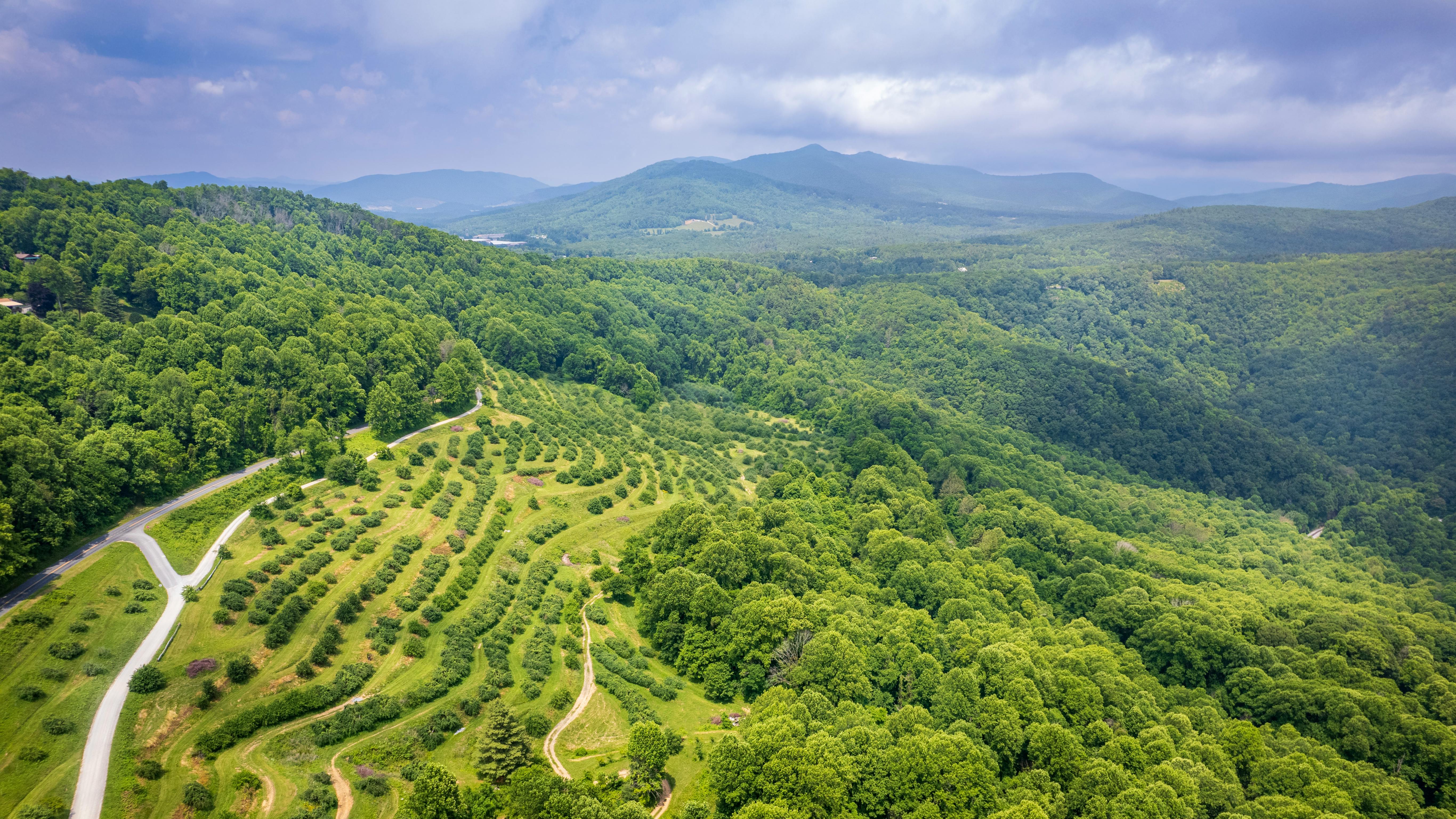 Overcast over Green Hills · Free Stock Photo
