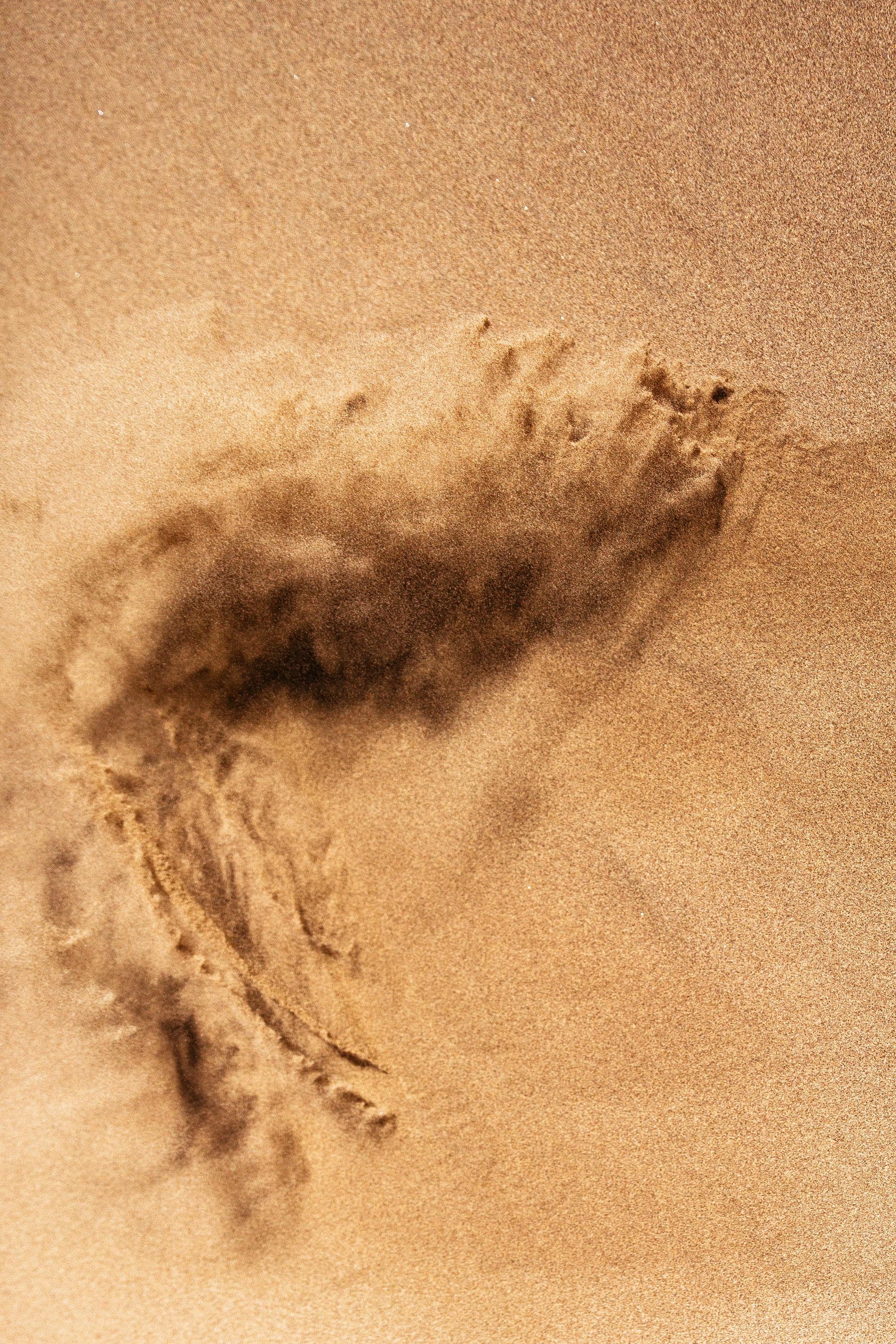 Arena Ondulada · Foto de stock gratuita