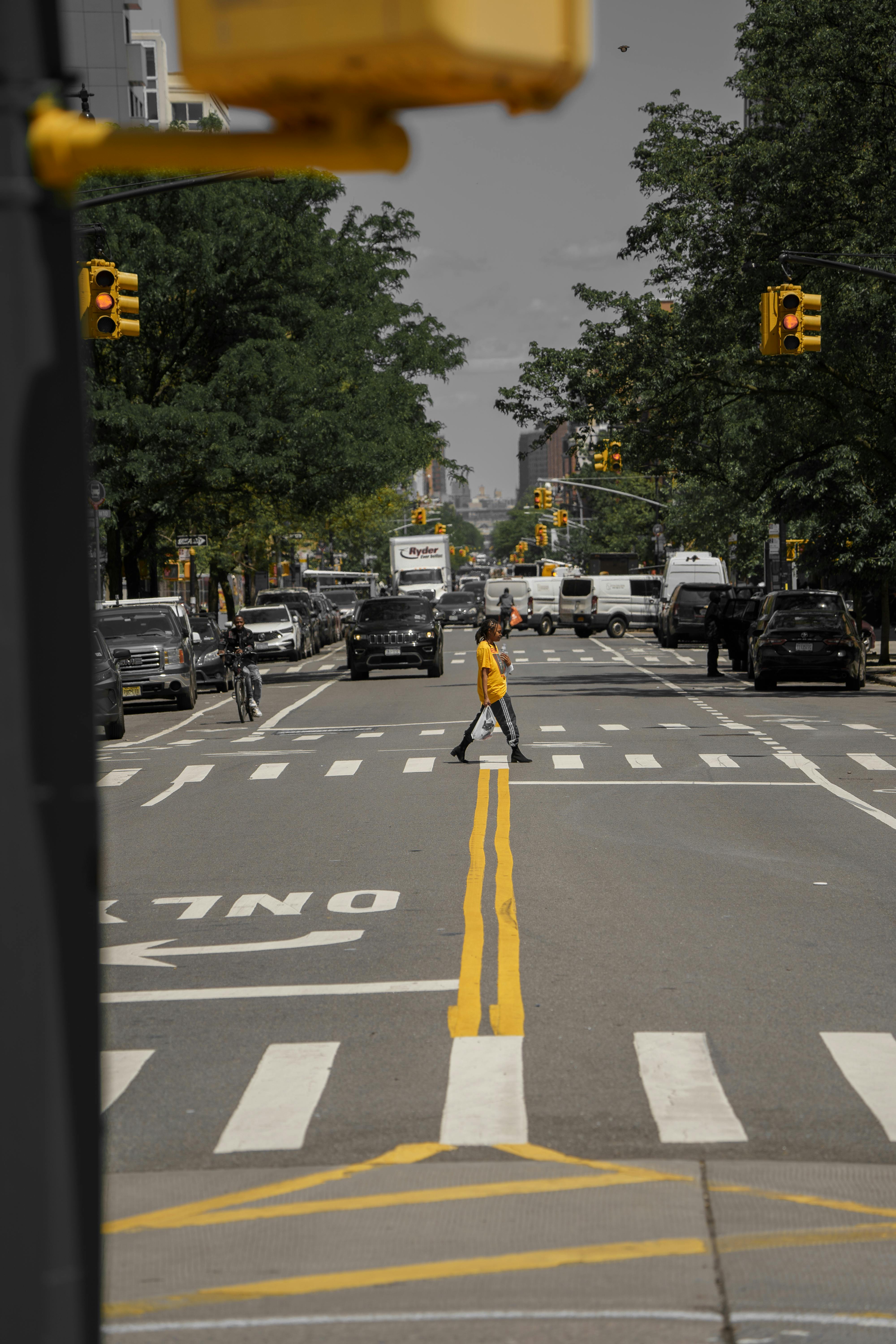 Chewy Cars Photos, Download The BEST Free Chewy Cars Stock Photos & HD ...