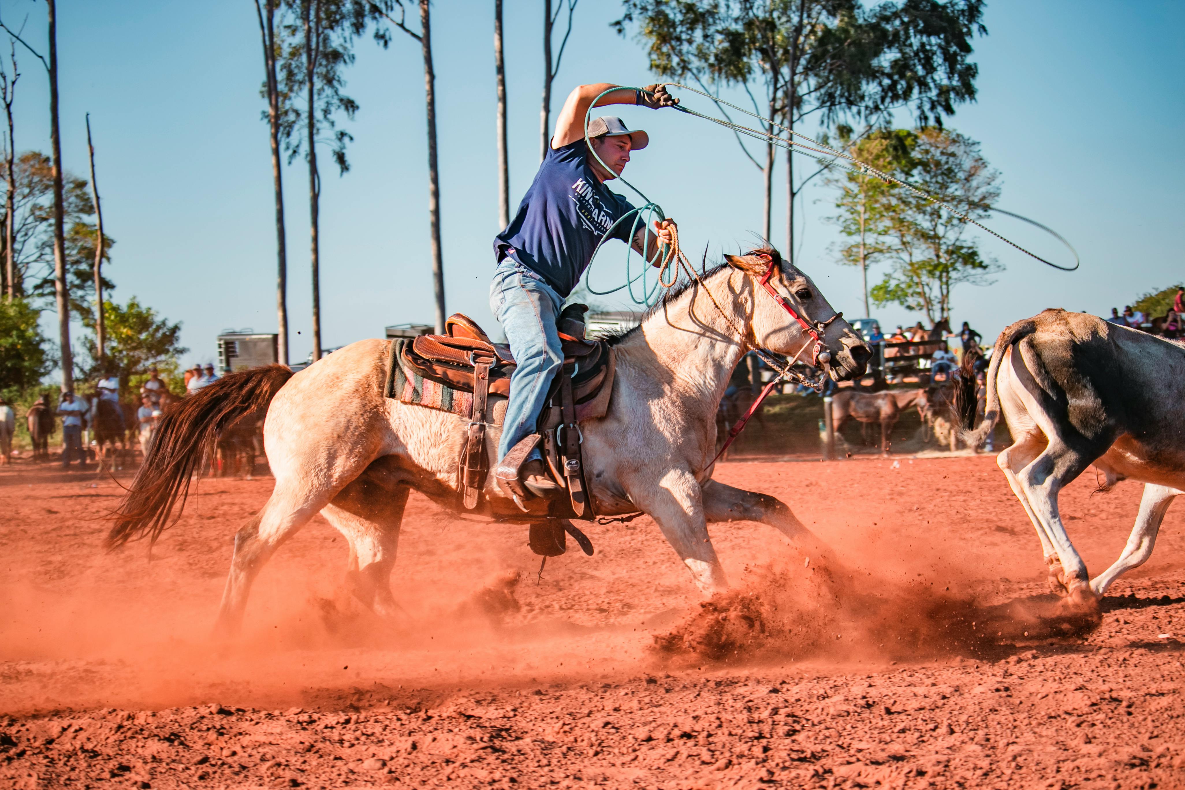 Man on Horse in Rodeo · Free Stock Photo