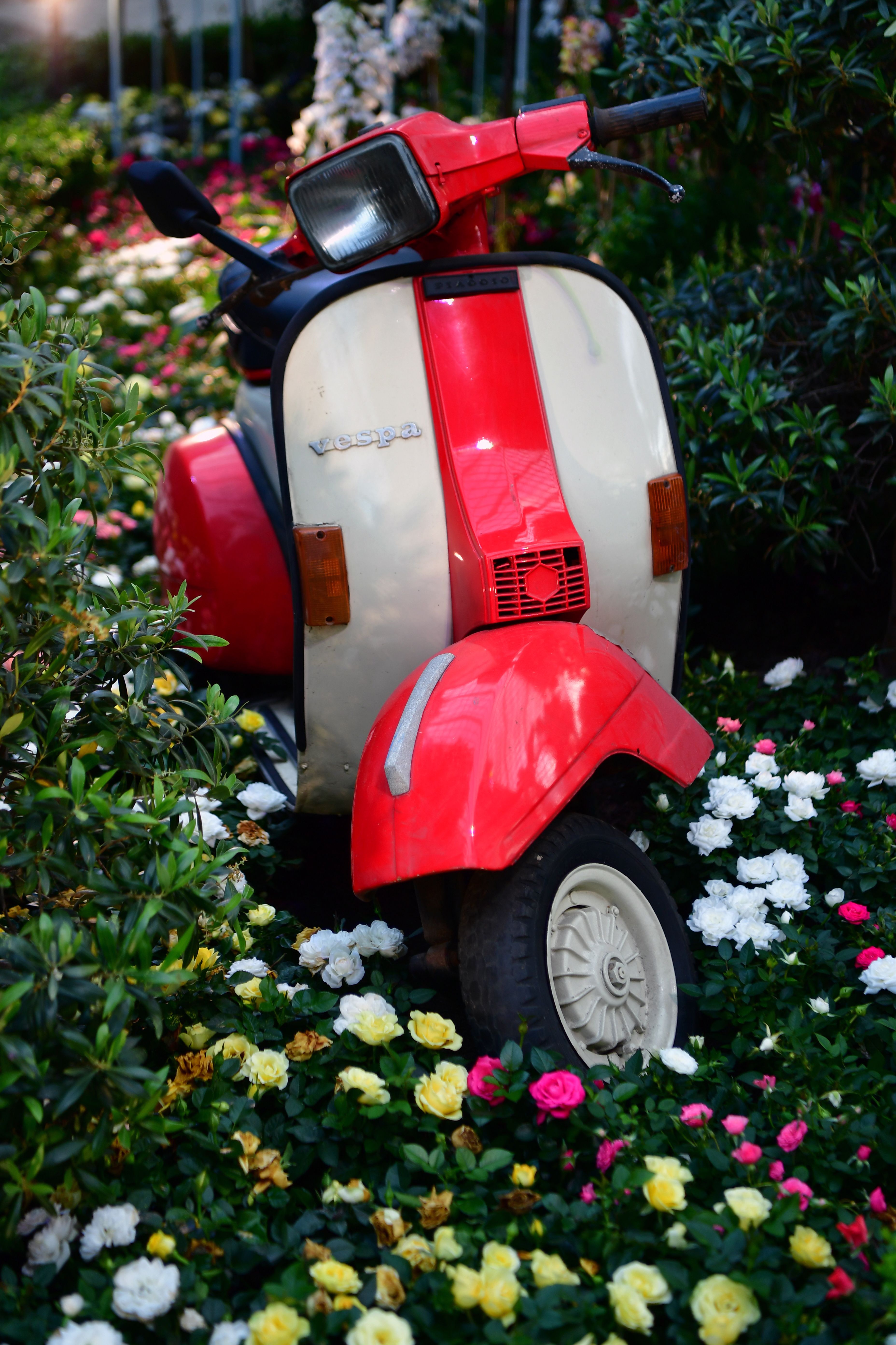 Piaggio Vespa Standing inside of a Bar · Free Stock Photo
