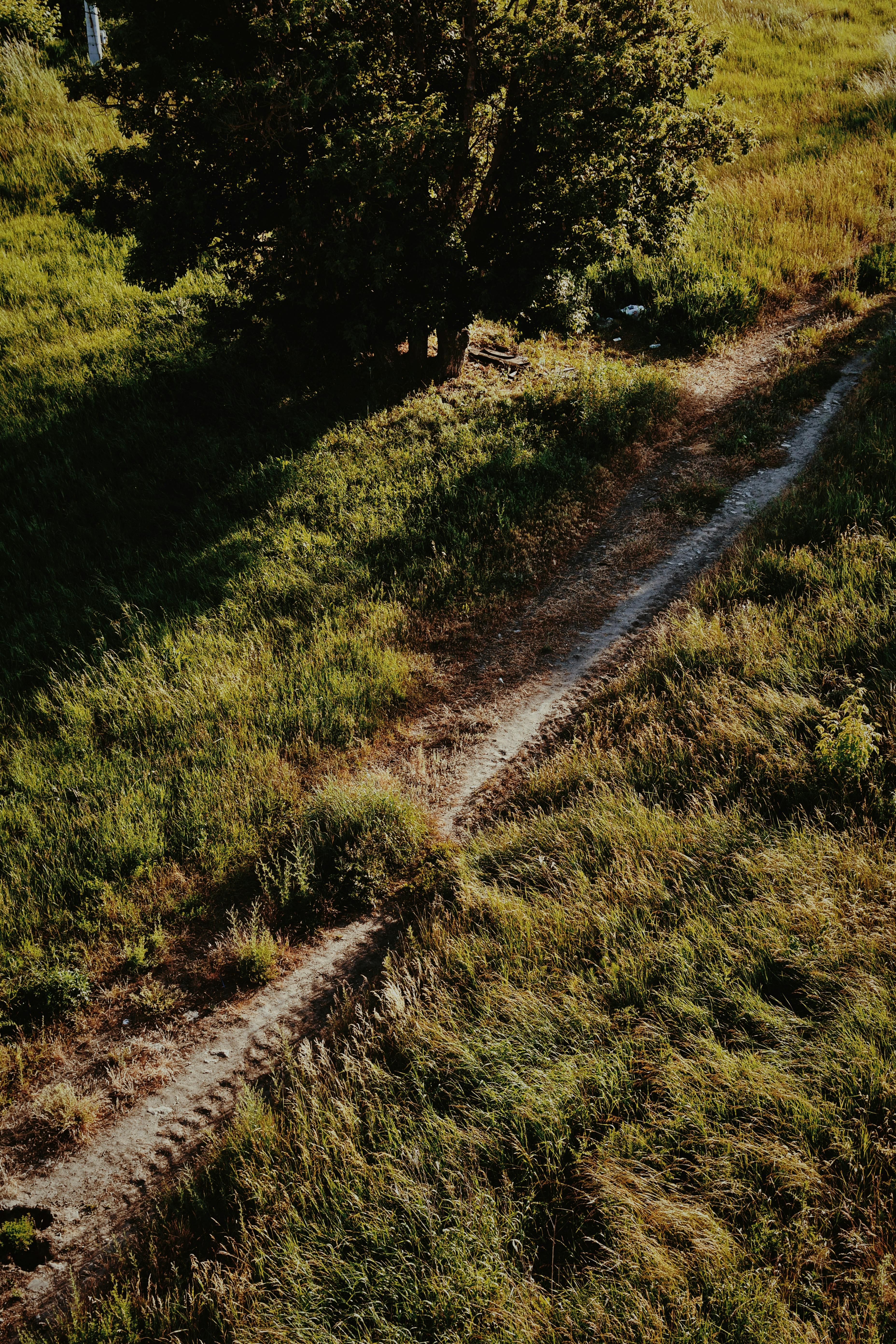 Footpath Going Uphill · Free Stock Photo