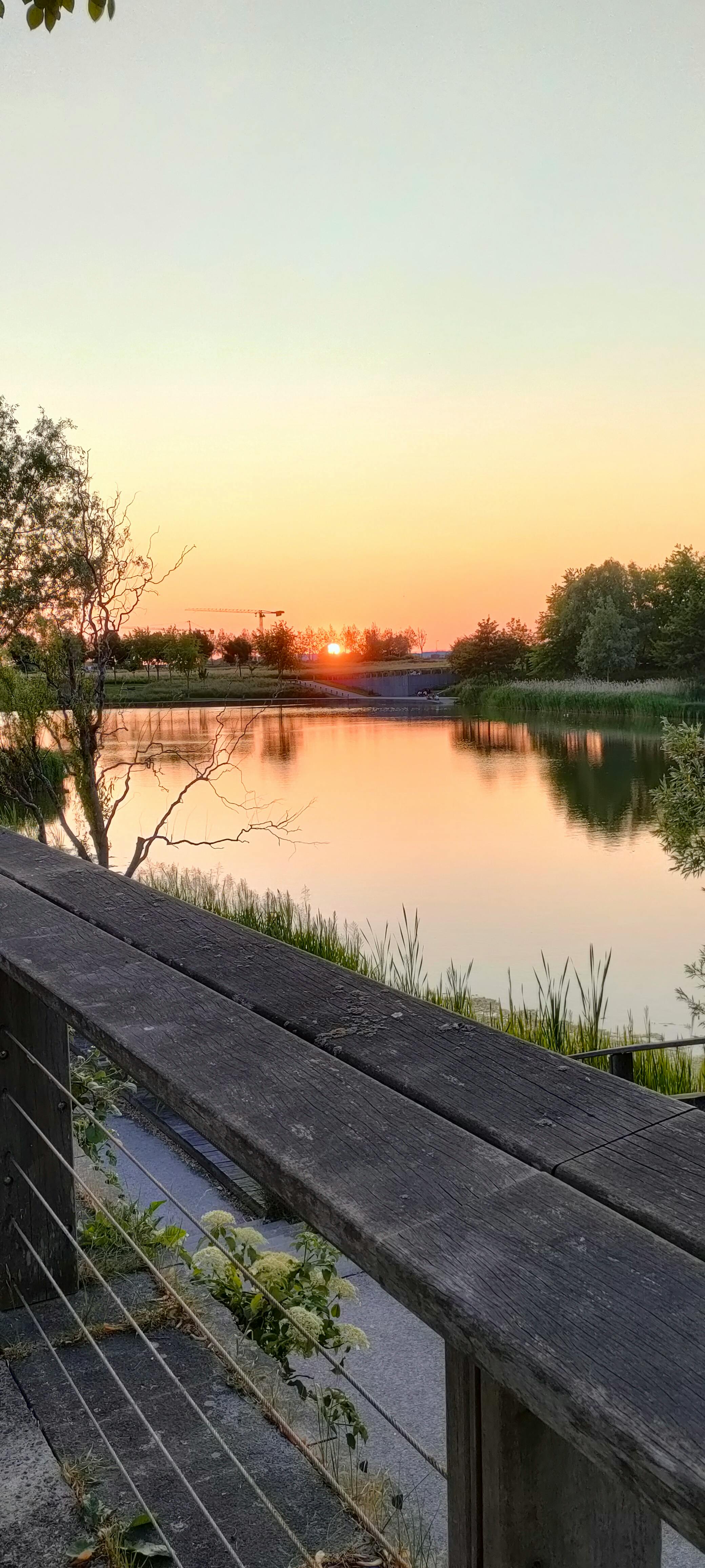 Zied Rezgui - Photography