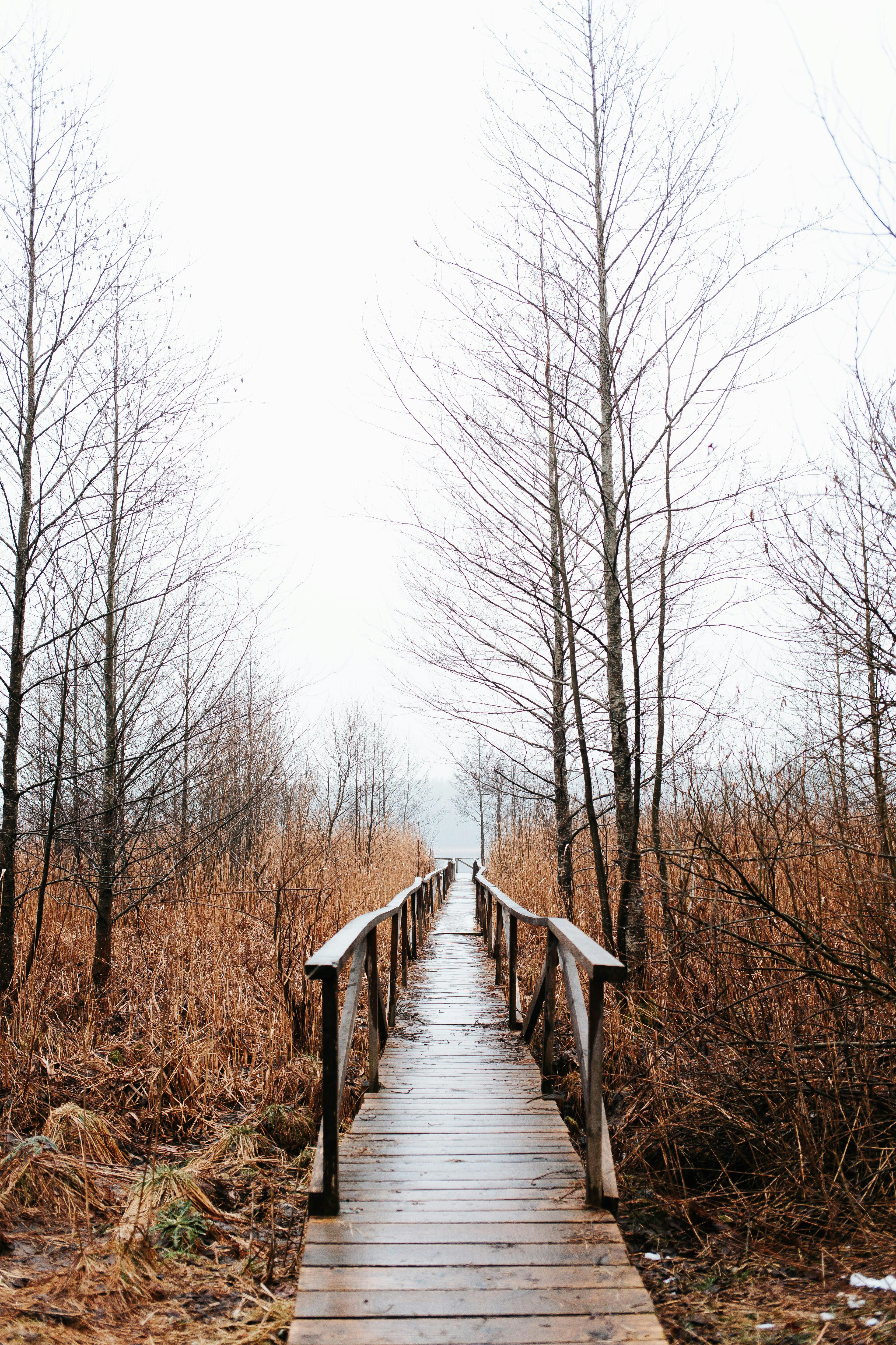 Raw Image Photos, Download The BEST Free Raw Image Stock Photos & HD Images