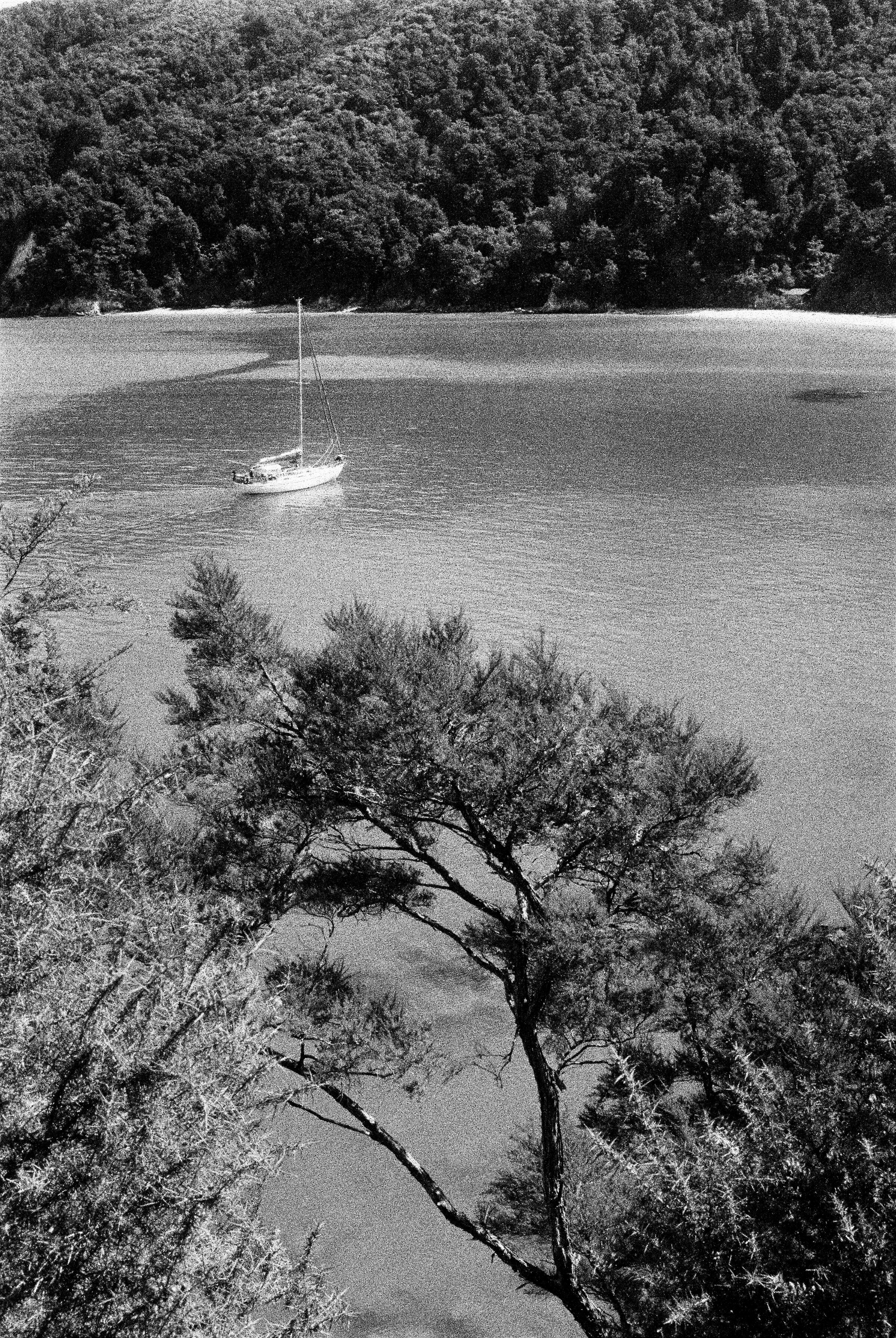 Sailboat in Bay · Free Stock Photo