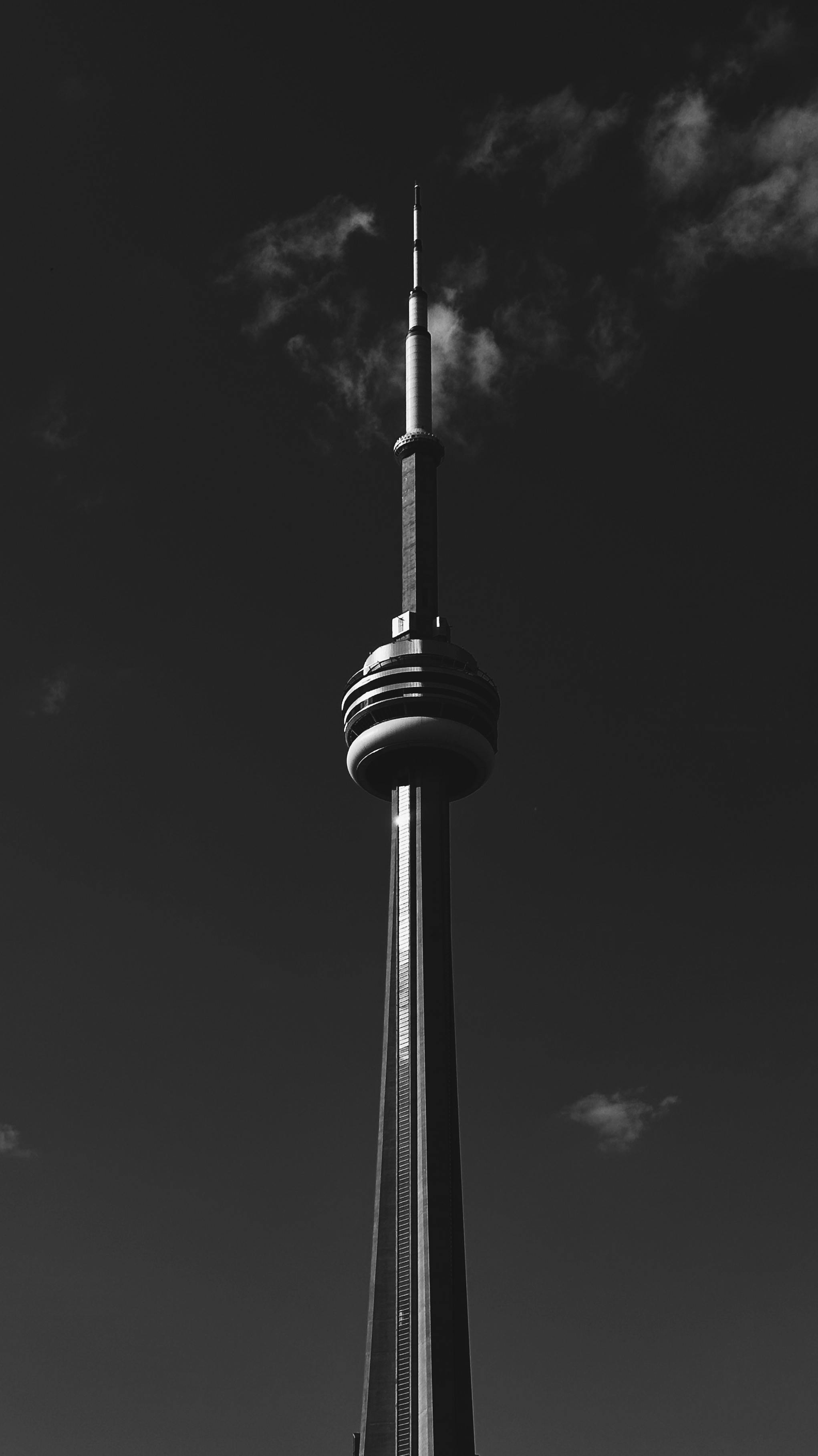 Observant Photos, Download The BEST Free Observant Stock Photos & HD Images