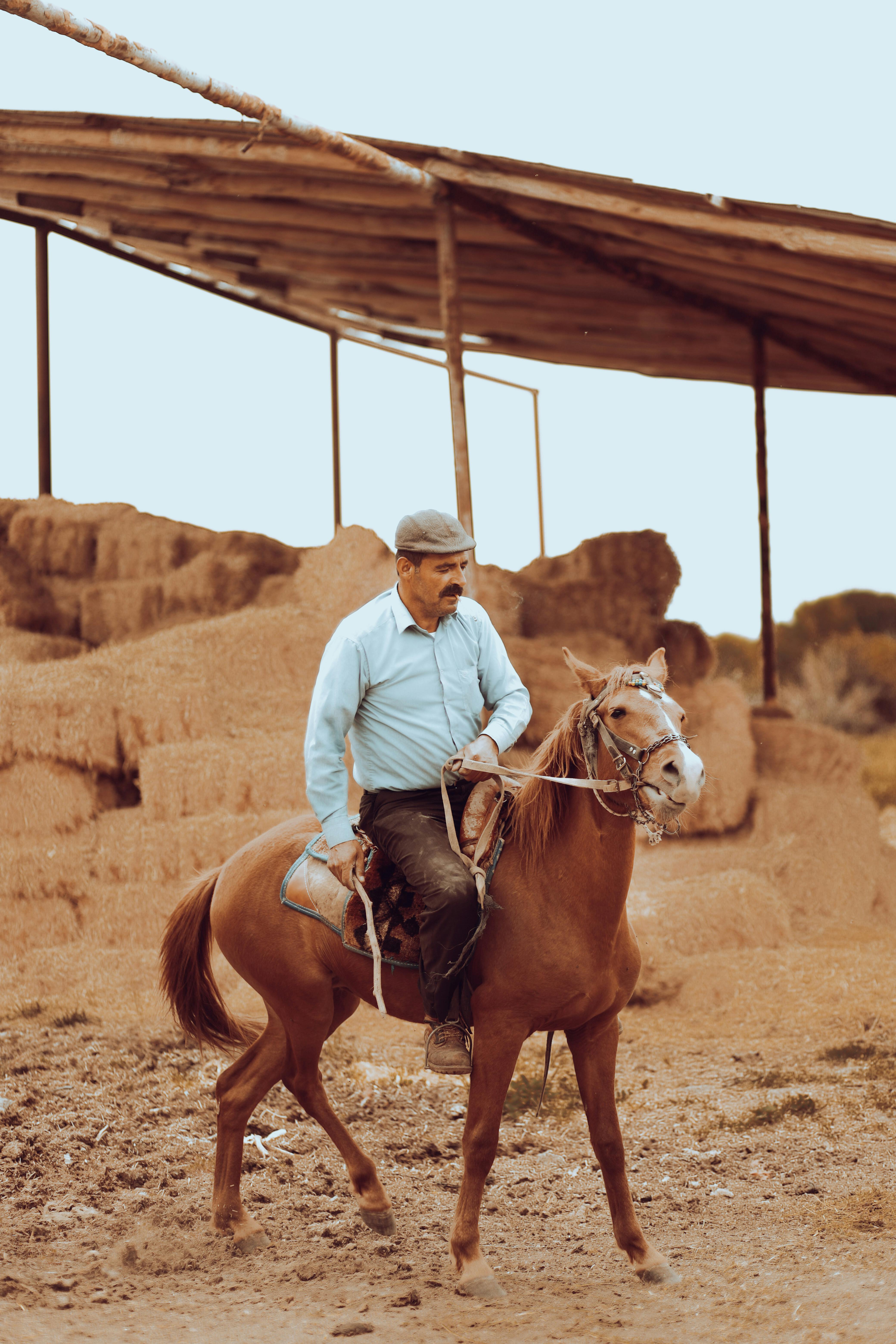 Photo of a Man Riding a Horse on a Farm · Free Stock Photo