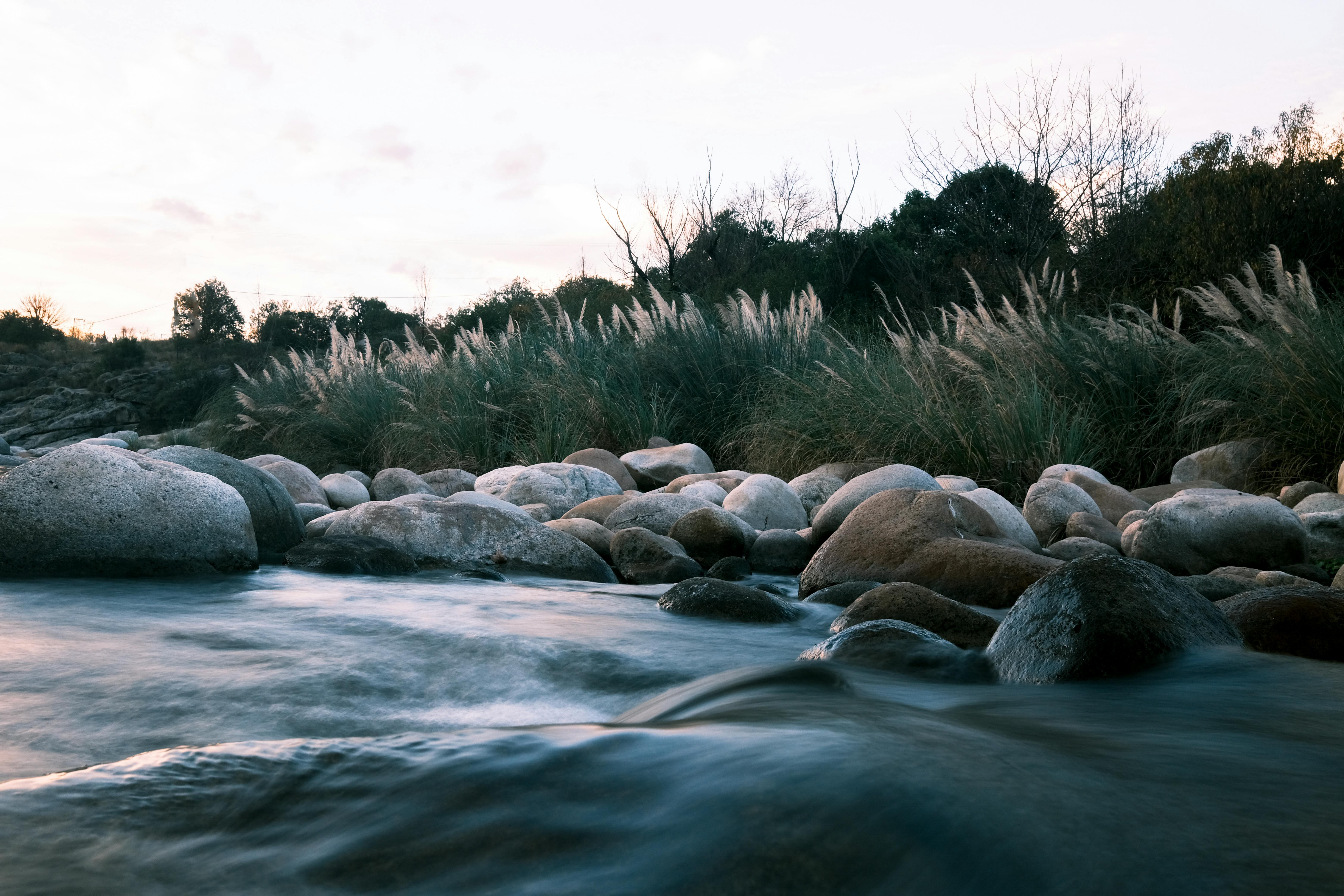 Flowing Calm River · Free Stock Photo
