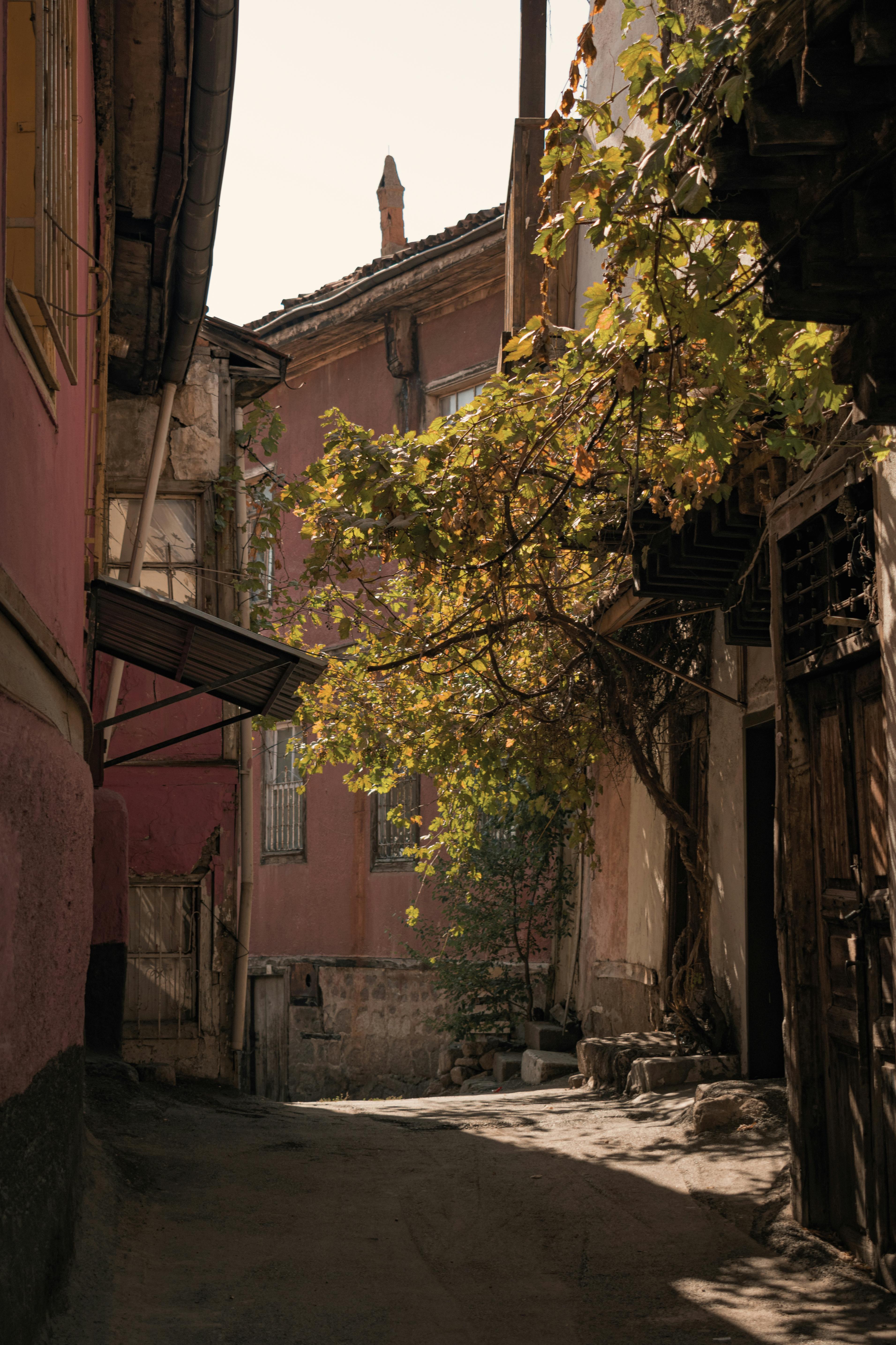 Narrow Photos, Download The BEST Free Narrow Stock Photos & HD Images