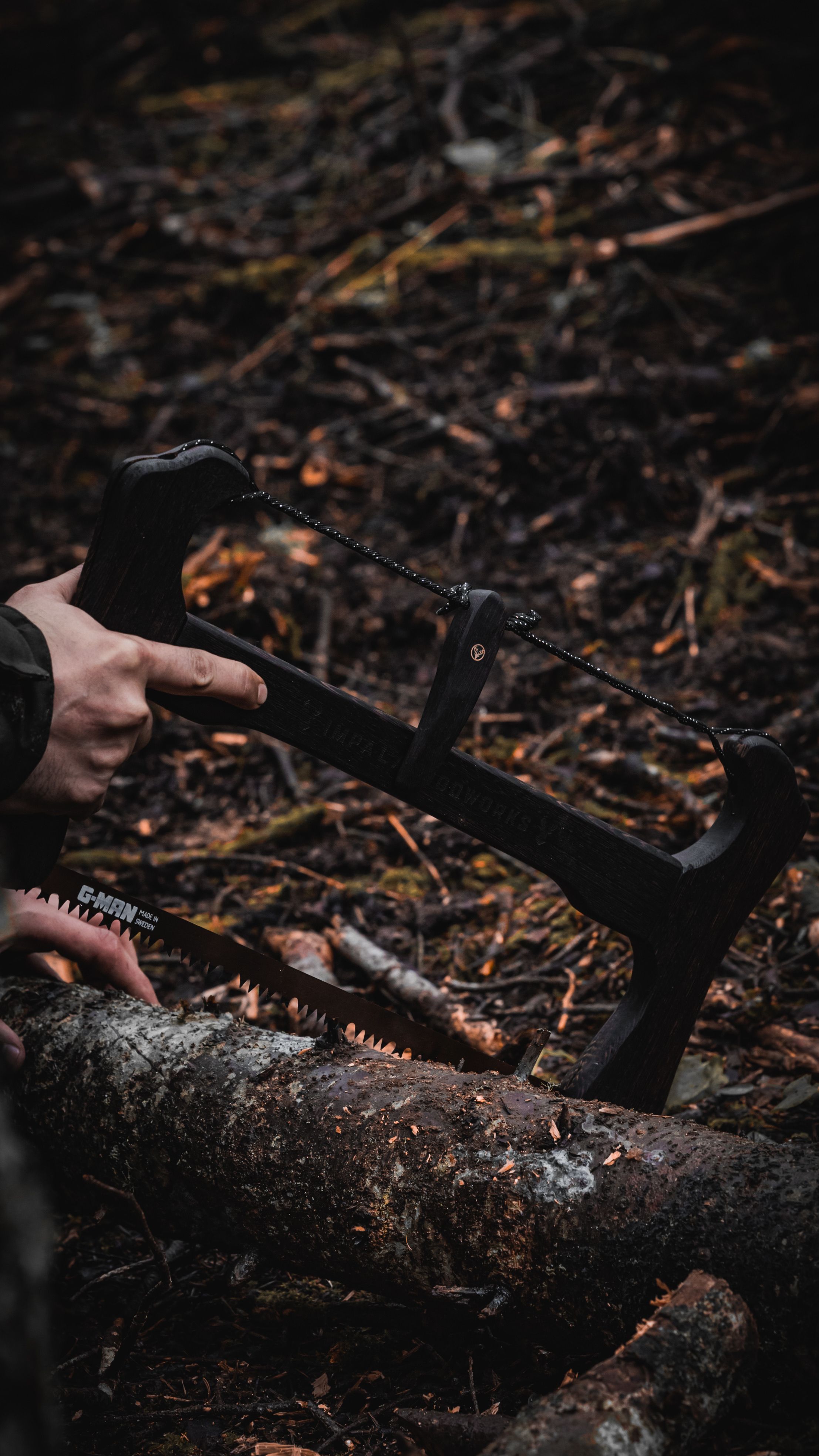 Man Hand Holding Saw over Tree Trunk · Free Stock Photo