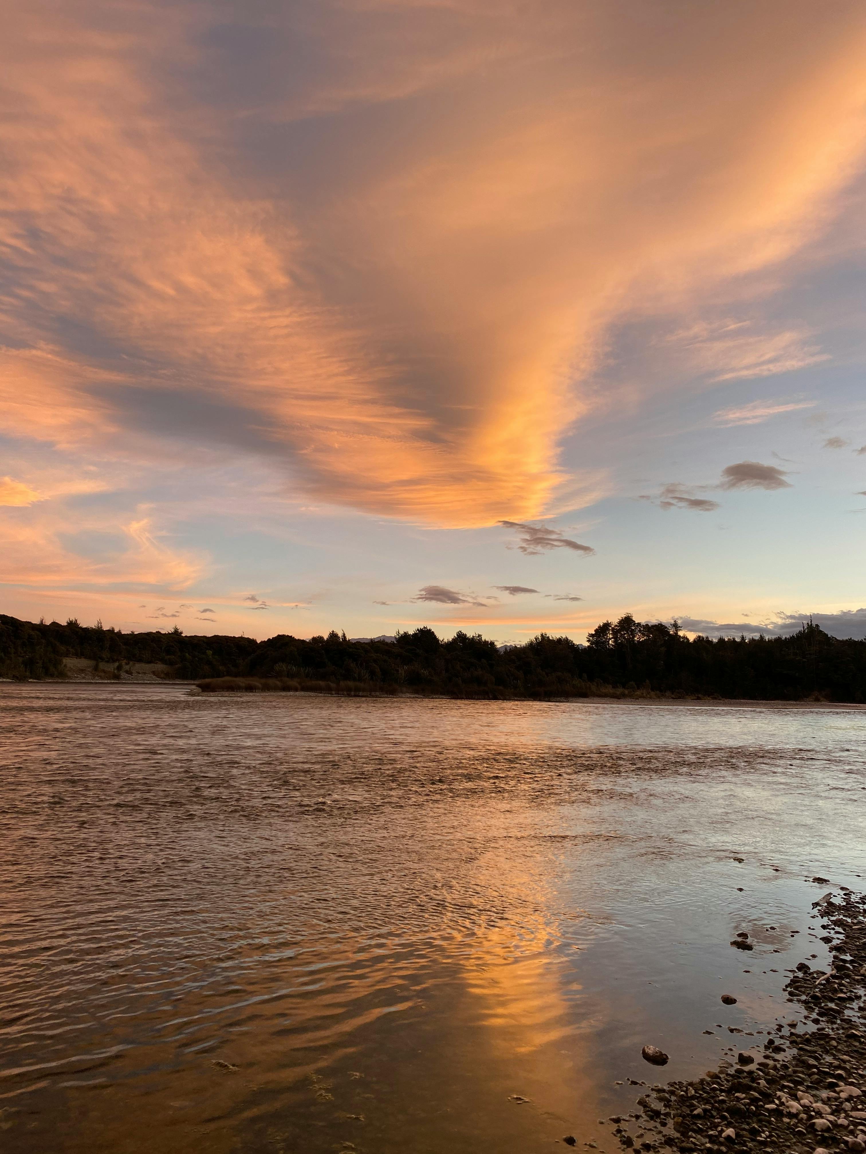 Dusk Forest Photos, Download The BEST Free Dusk Forest Stock Photos ...