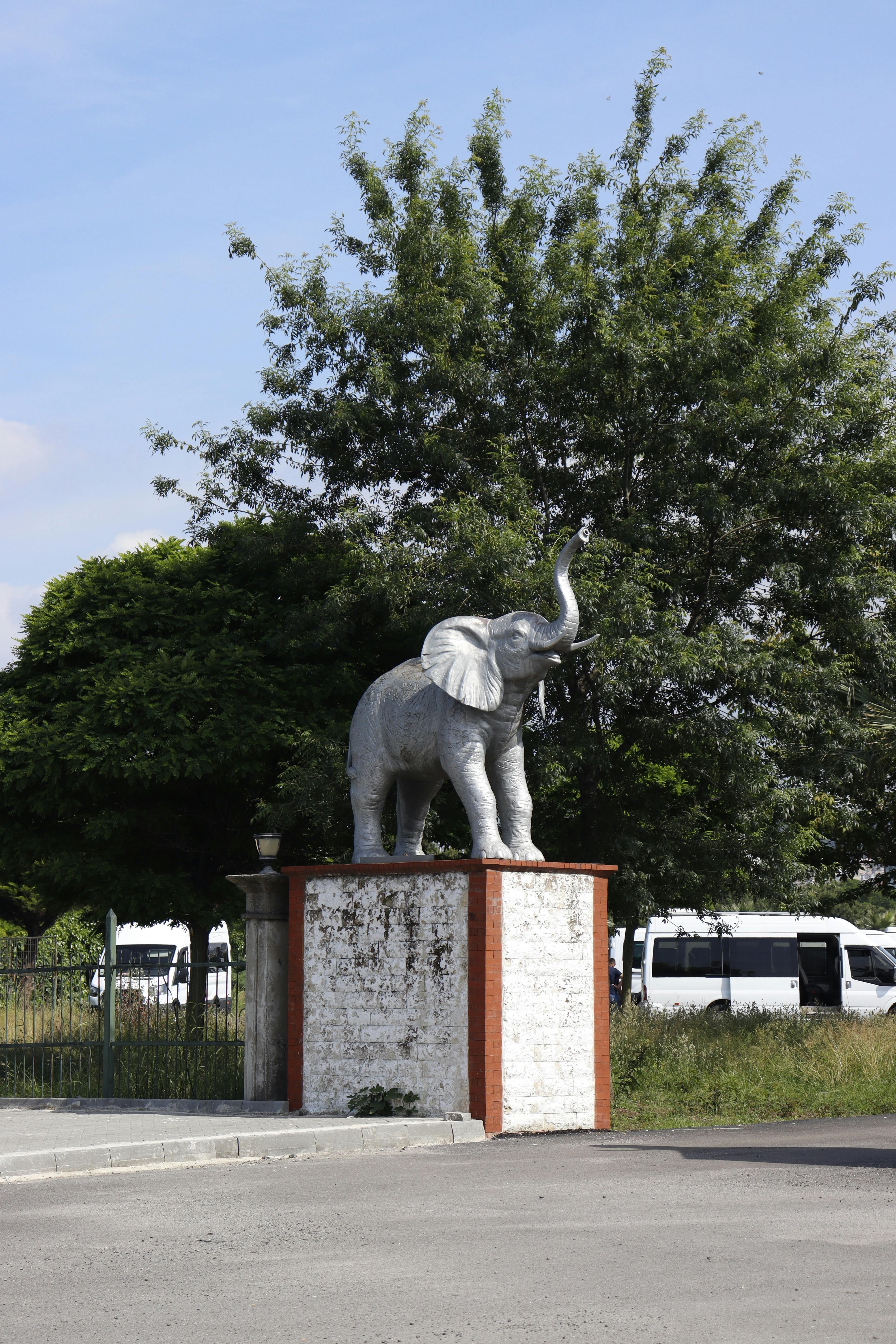 Figure of Elephant · Free Stock Photo