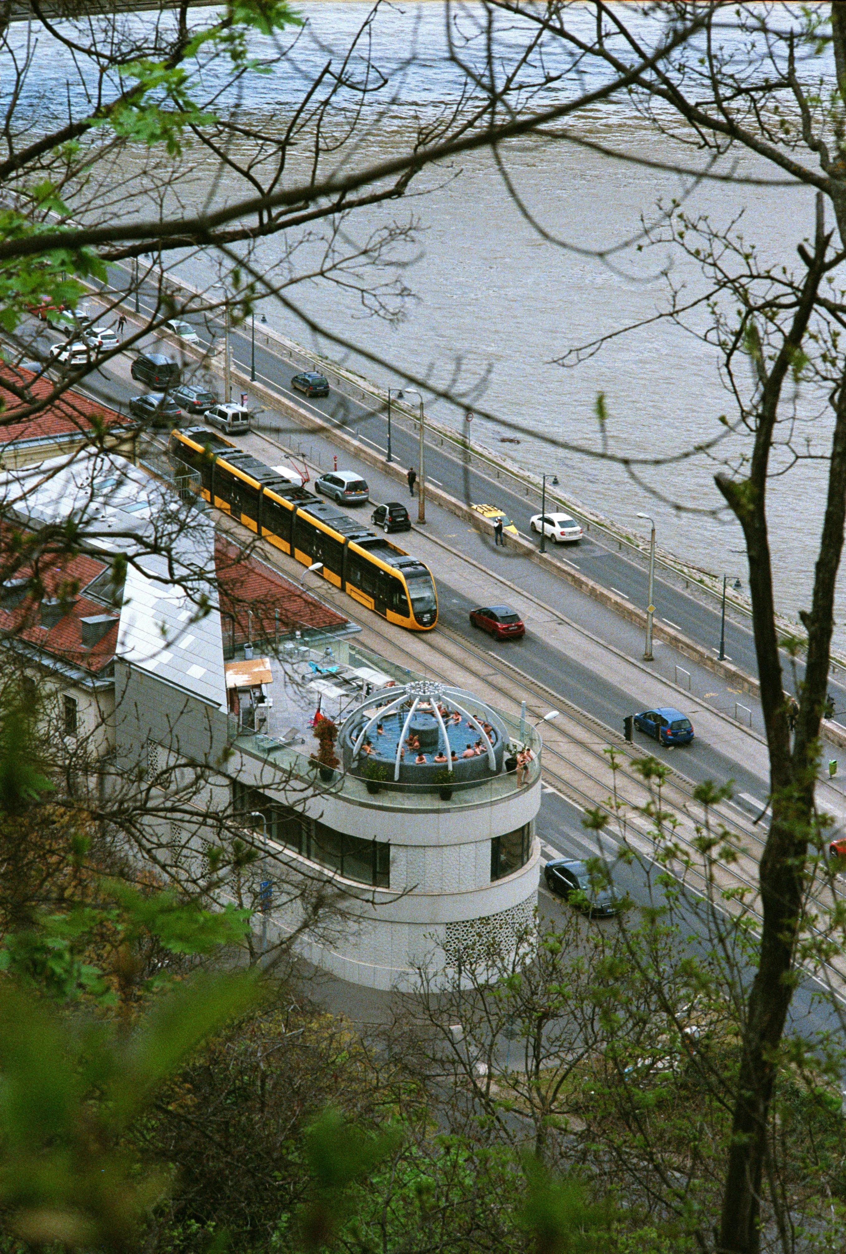 Chewy Cars Photos, Download The BEST Free Chewy Cars Stock Photos & HD ...