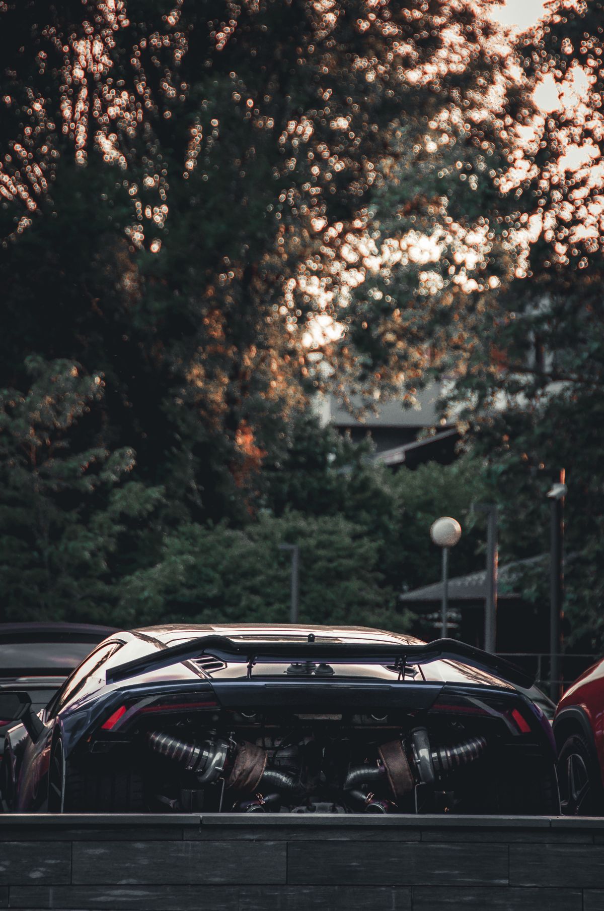 Lamborghini In Nature Photos, Download The BEST Free Lamborghini In ...