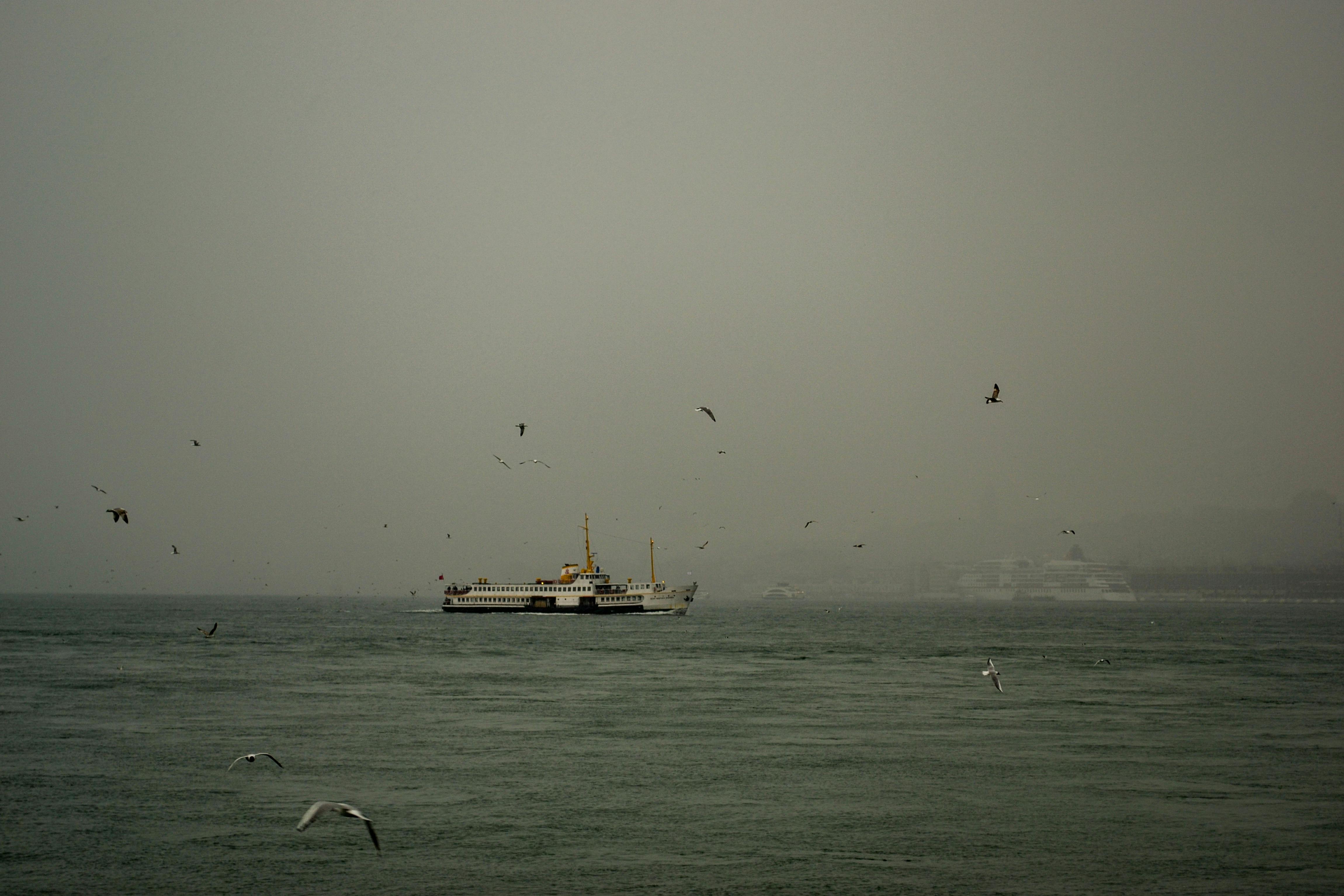 Storm Forming Photos, Download The BEST Free Storm Forming Stock Photos ...