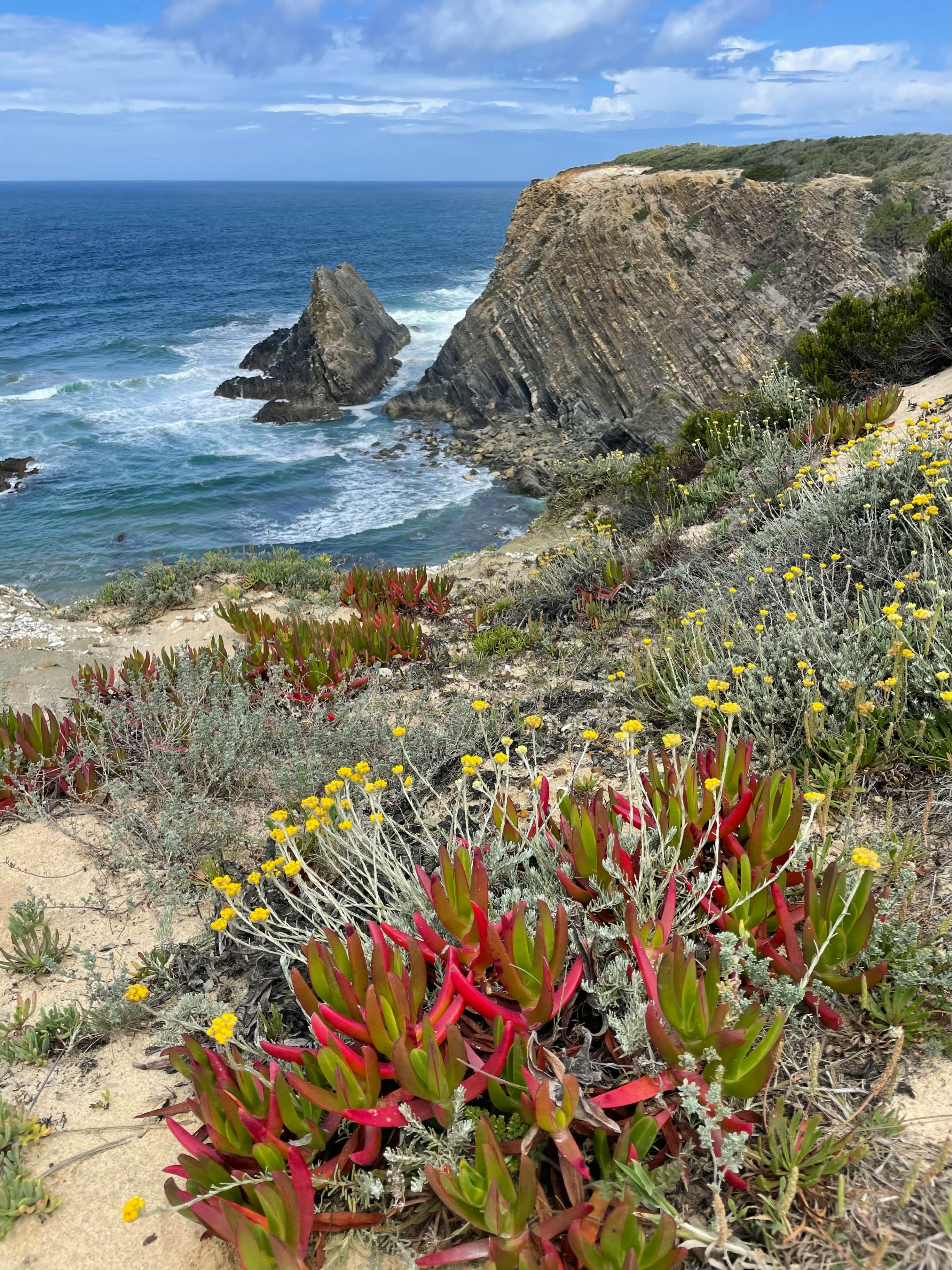 Carvalhal Beach Photos, Download The BEST Free Carvalhal Beach Stock ...