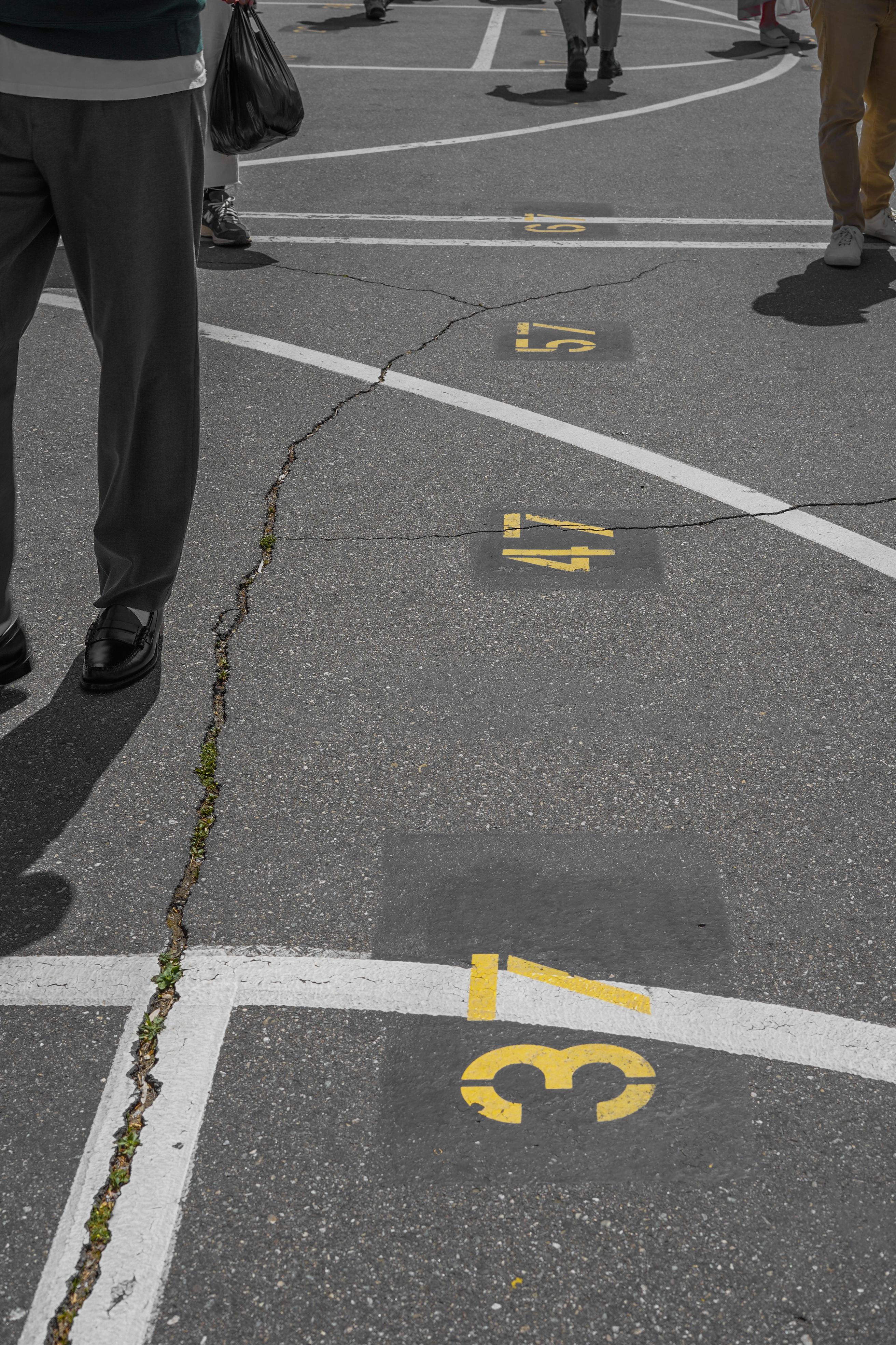 Numbers on Sunlit Asphalt on Sports Ground · Free Stock Photo