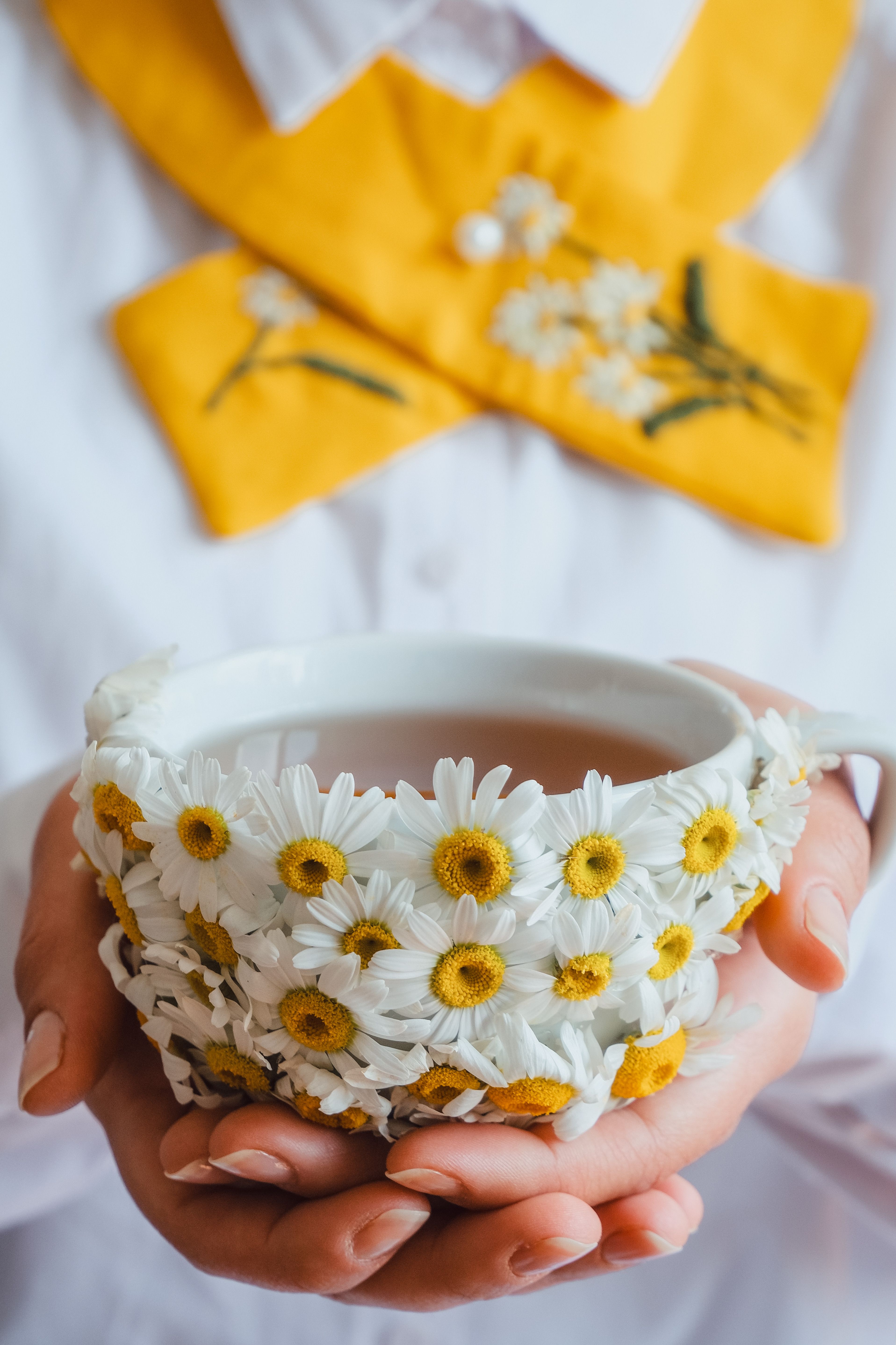 Tea Kap Photos, Download The BEST Free Tea Kap Stock Photos & HD Images