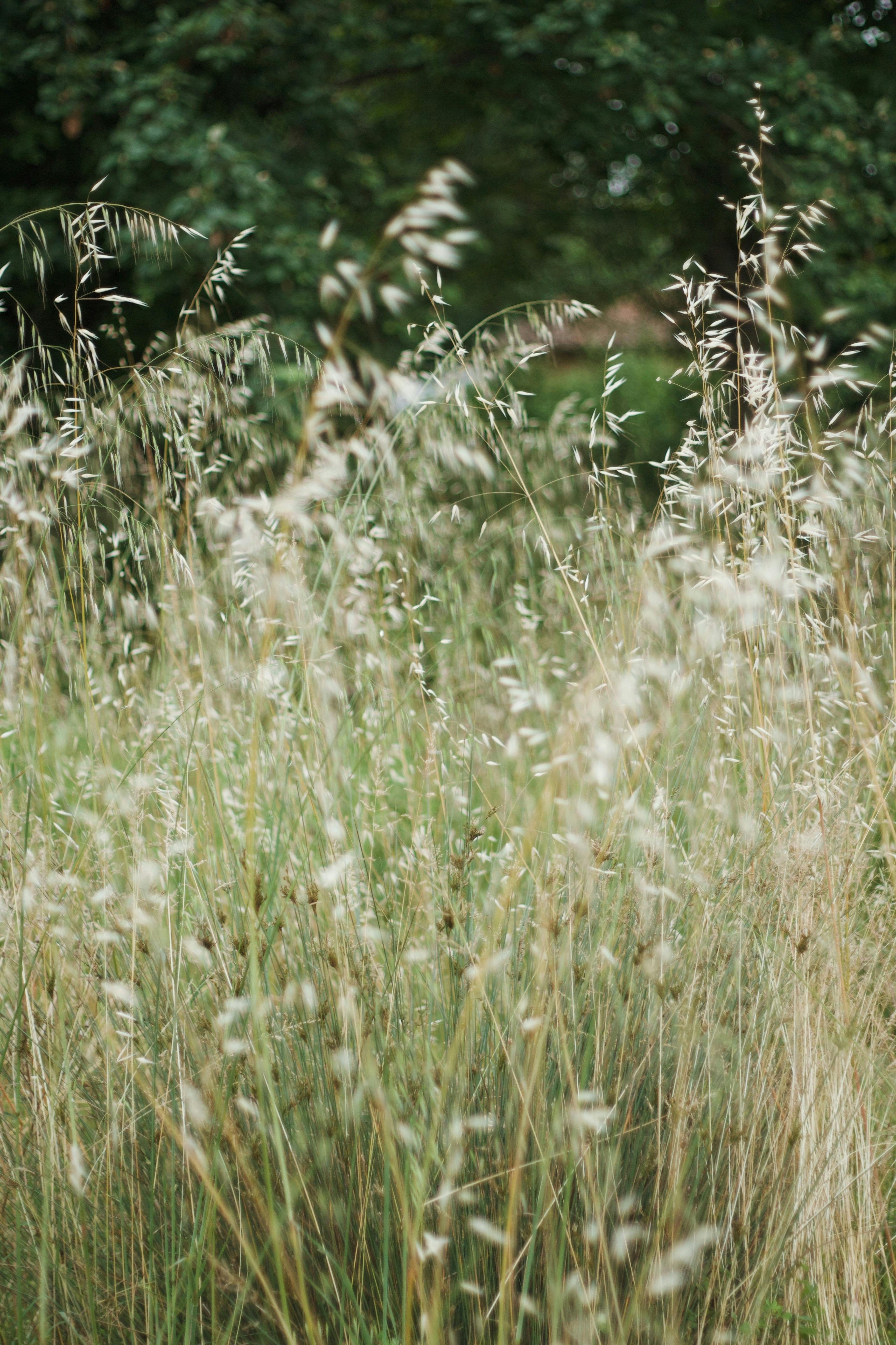 Green Solvent Photos, Download The BEST Free Green Solvent Stock Photos ...