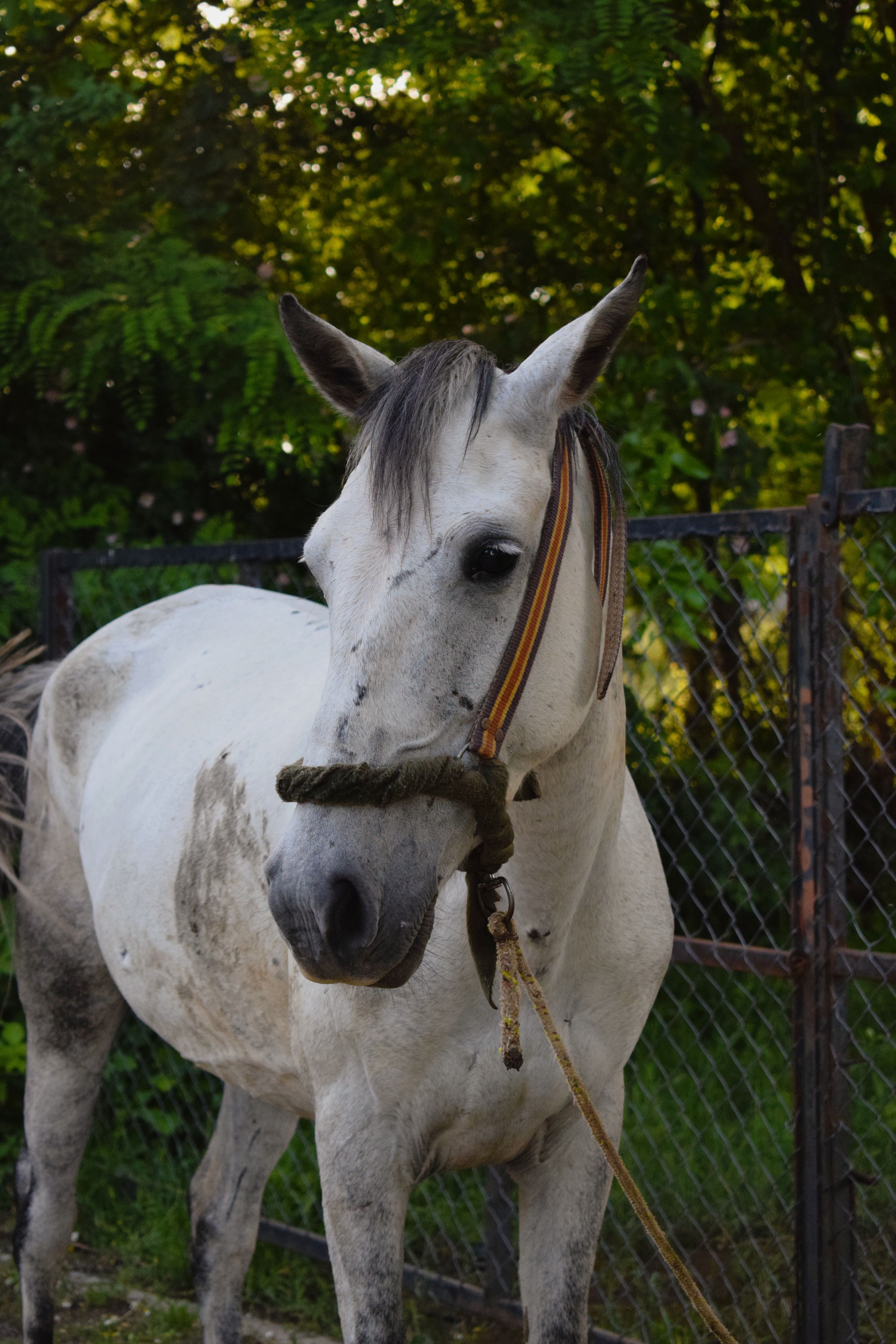Country Vibe Photos, Download The BEST Free Country Vibe Stock Photos ...