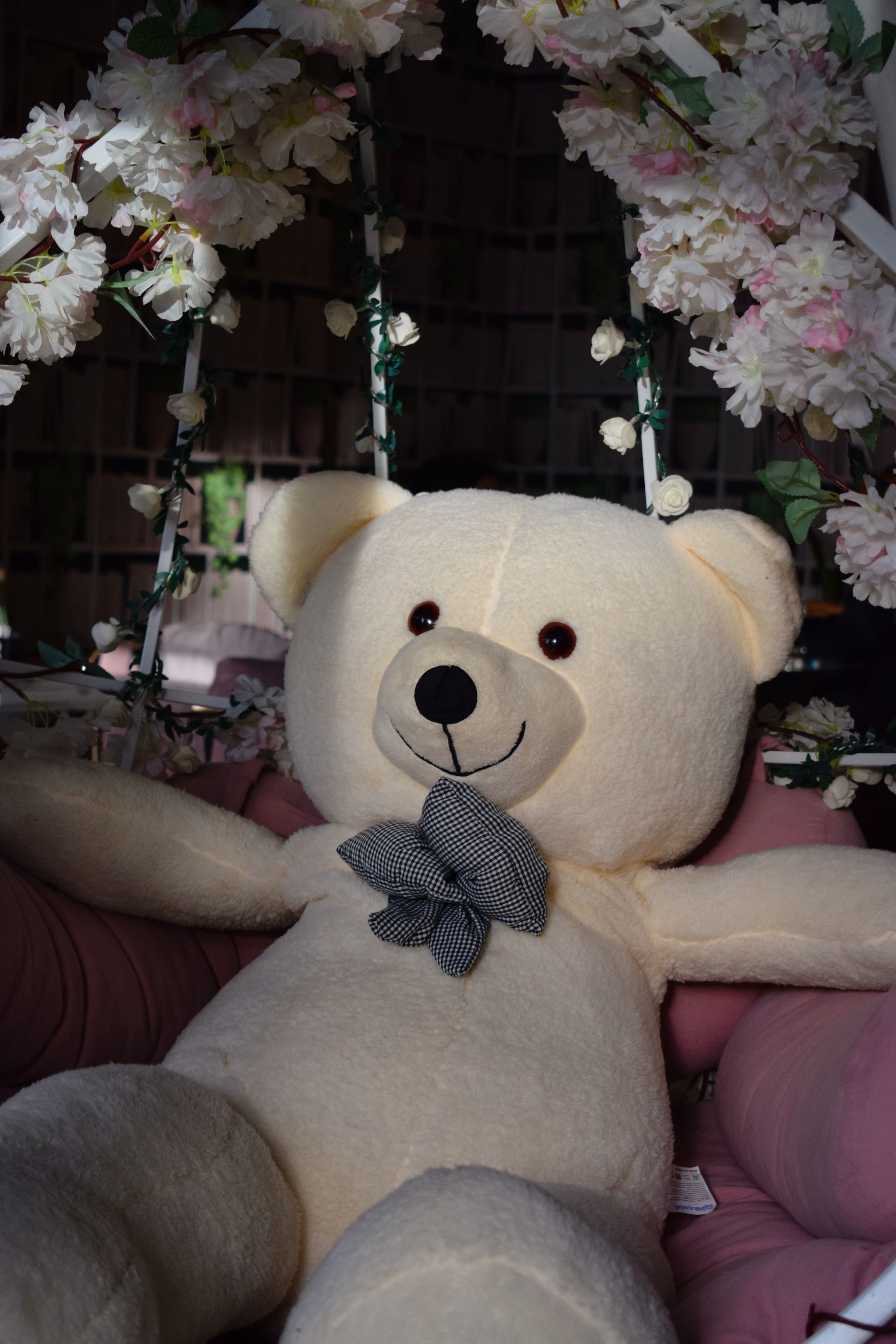 Cute Aesthetic Photos, Download The BEST Free Cute Aesthetic Stock ...