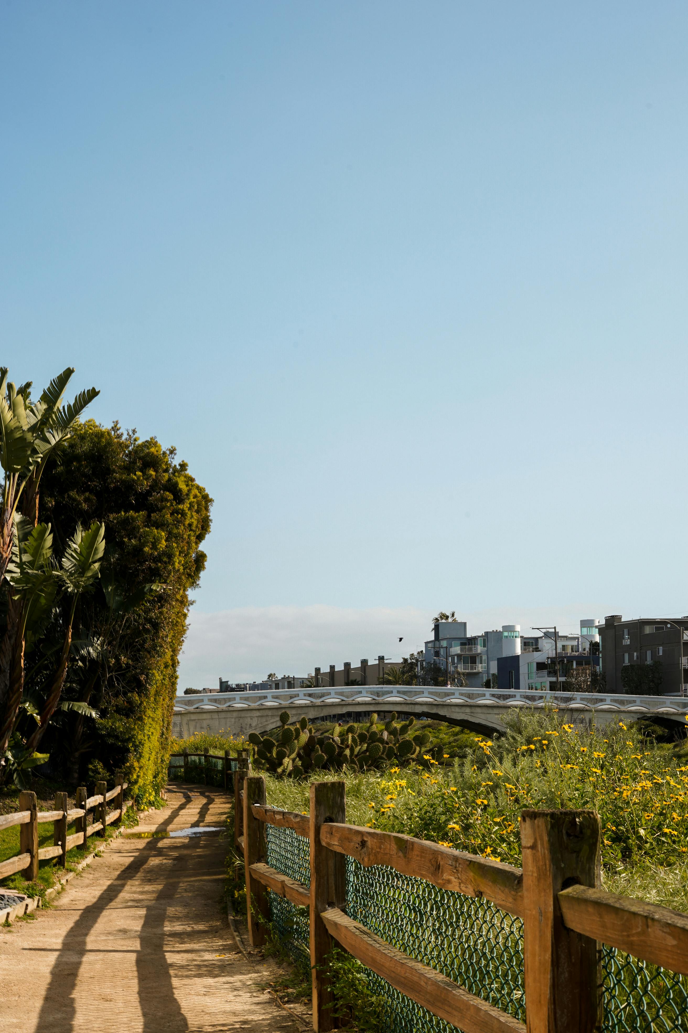 Fork Path Photos, Download The BEST Free Fork Path Stock Photos & HD Images