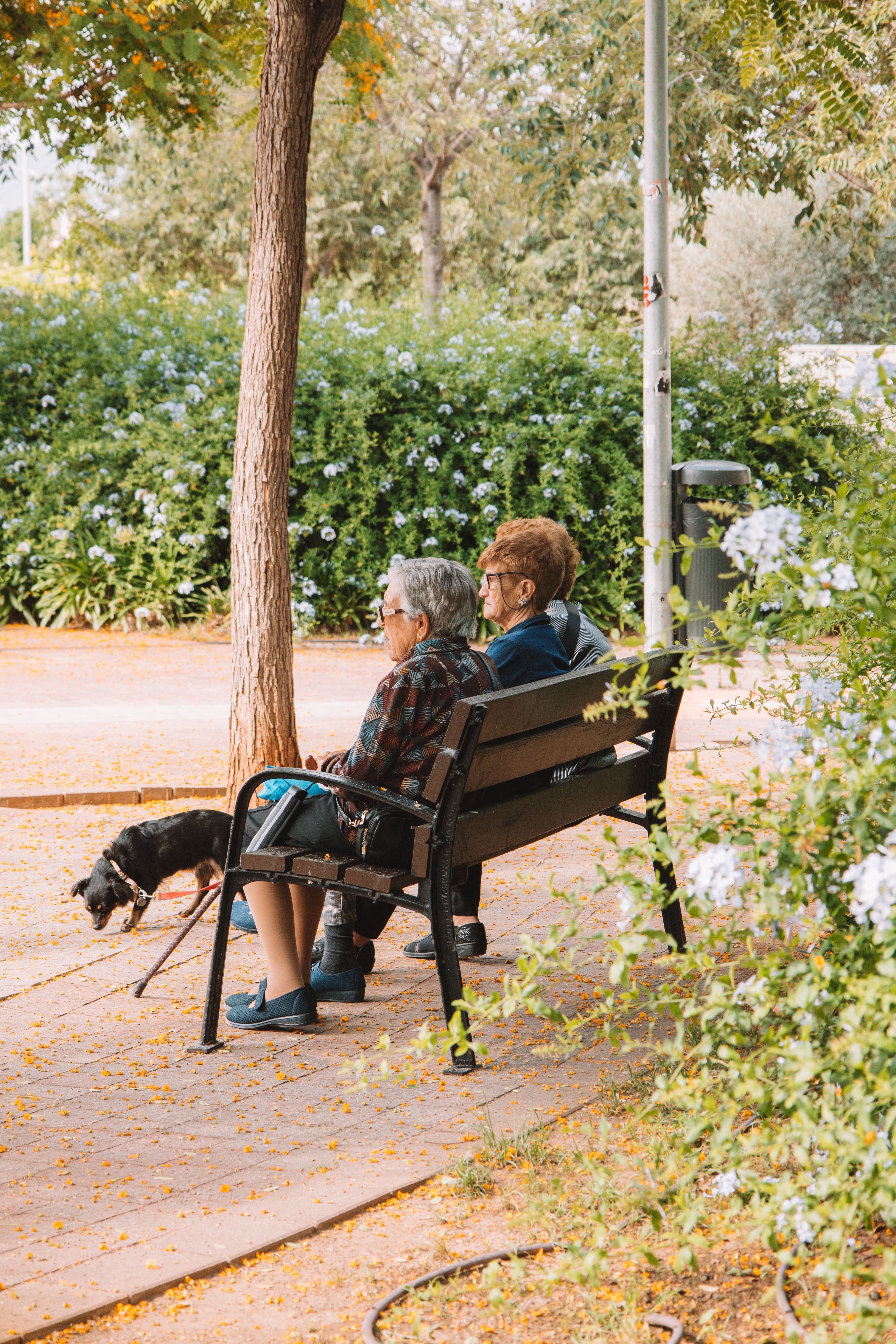 Retirement Community Photos Photos, Download The BEST Free Retirement ...