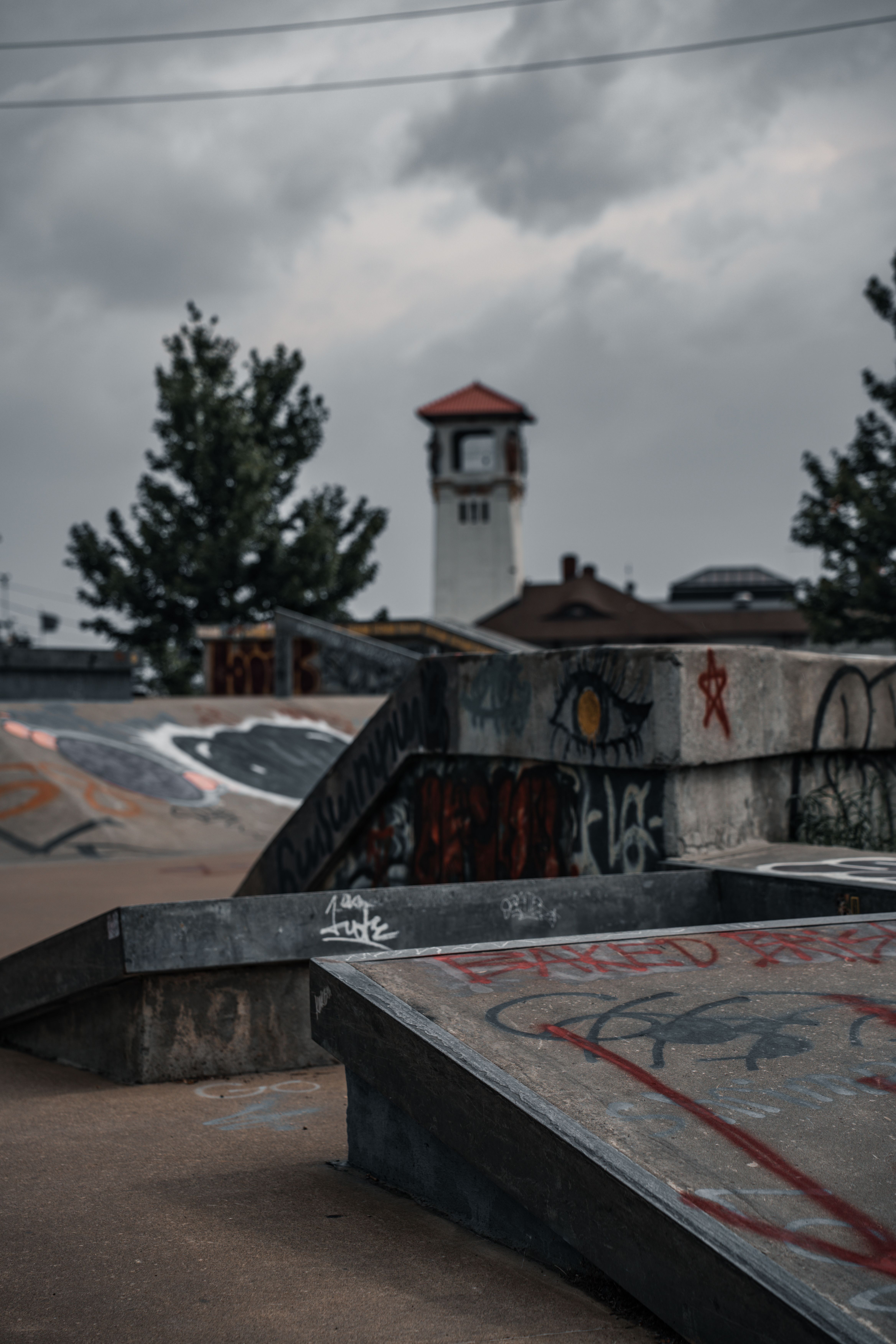 Skatepark among Trees · Free Stock Photo